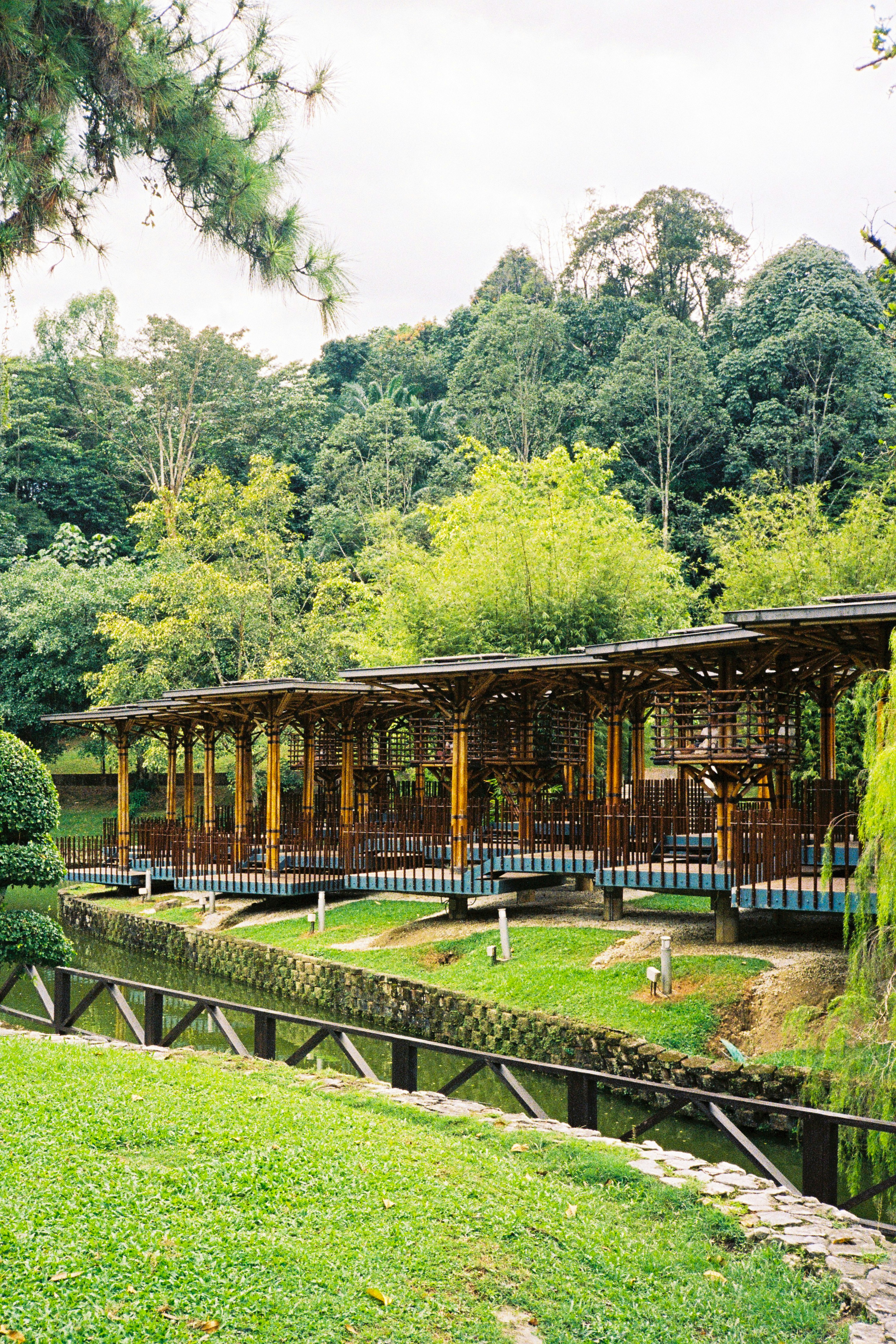 Wooden veranda under a canopy of trees by a tranquil garden canal