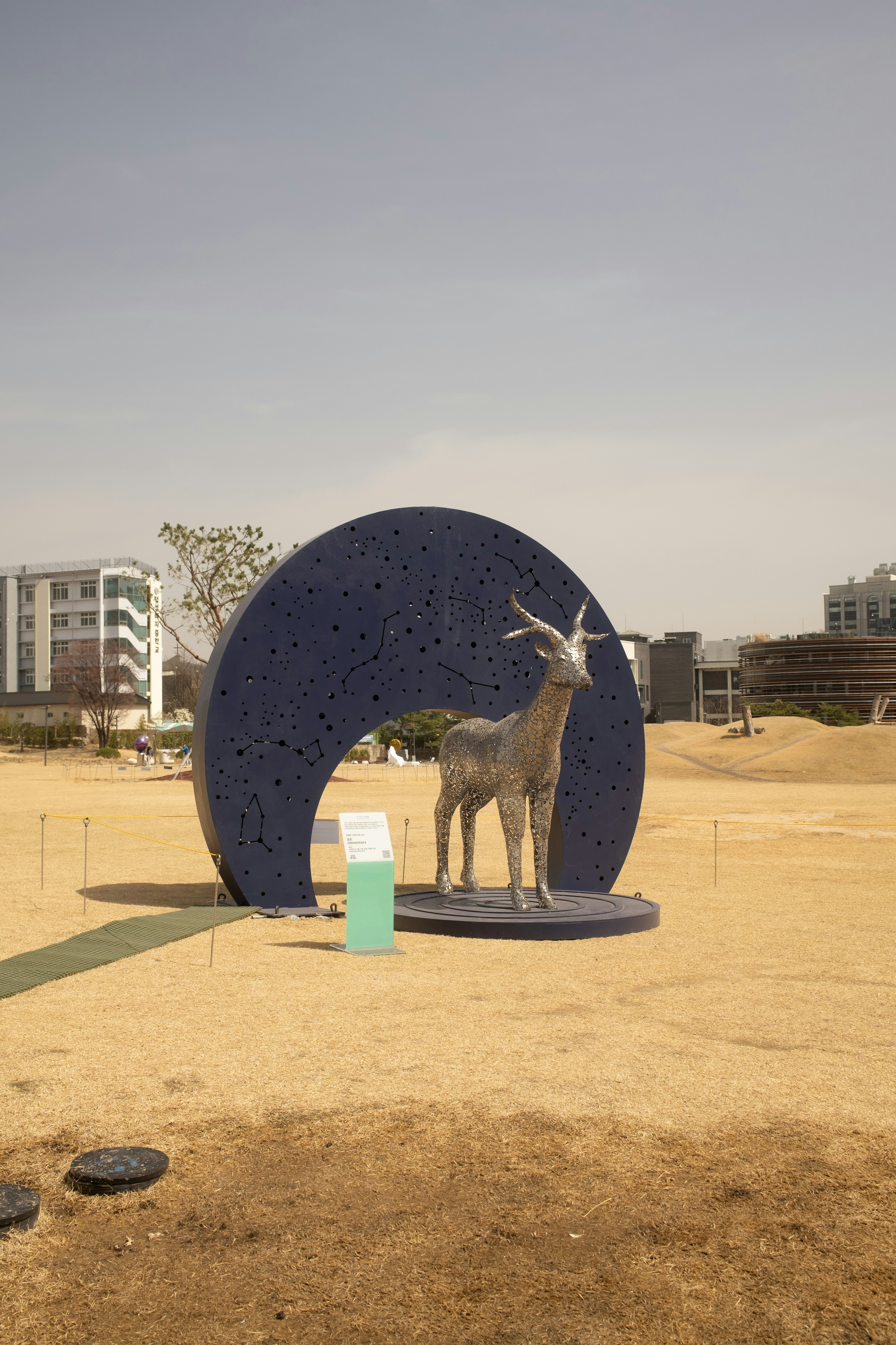 Curved Silence: A Deer Statue Framed by a Ring of Shadows