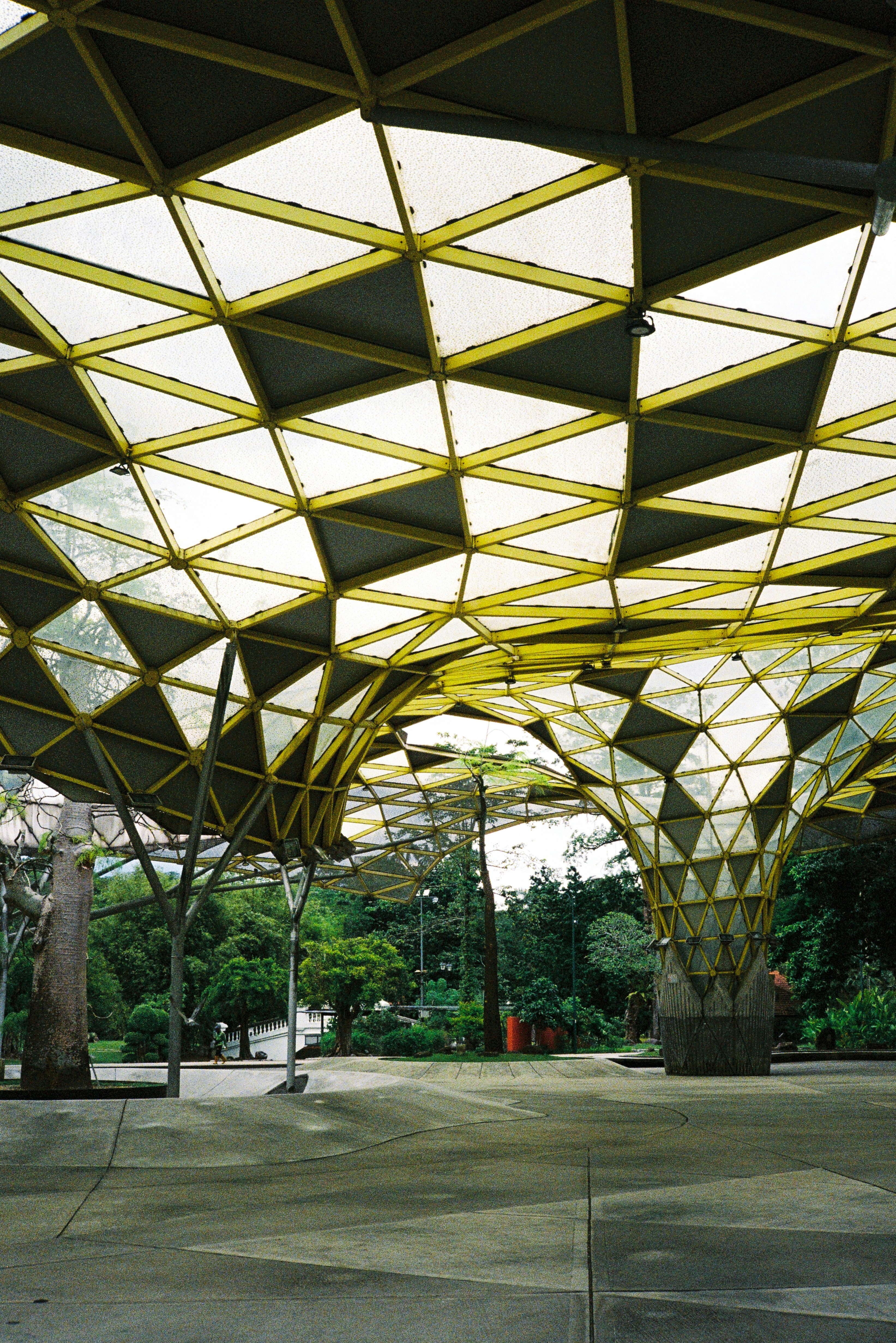 Geometric Canopy Overwalk: A Lattice of Light and Shadow
