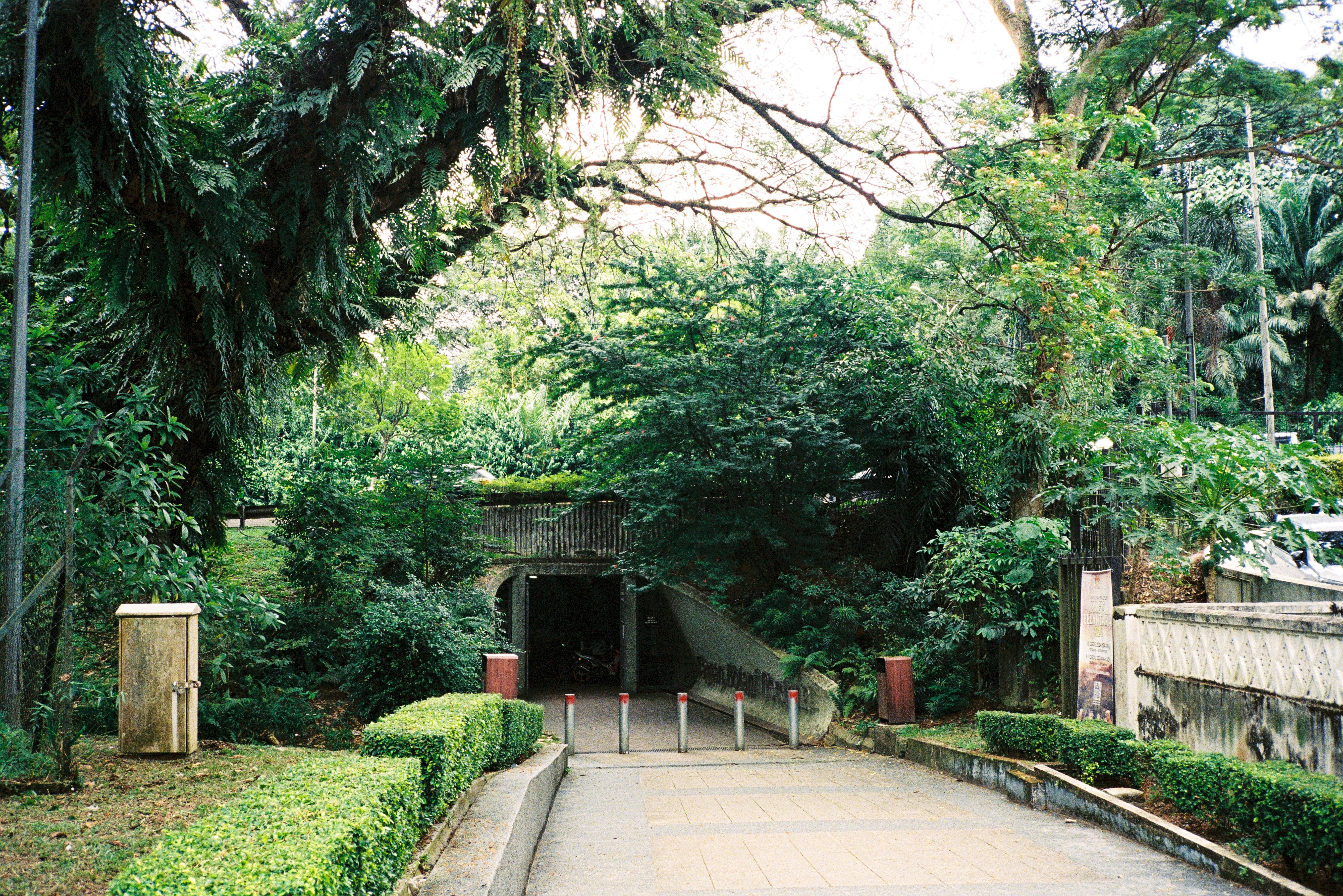 Pathway to Quiet Symmetry