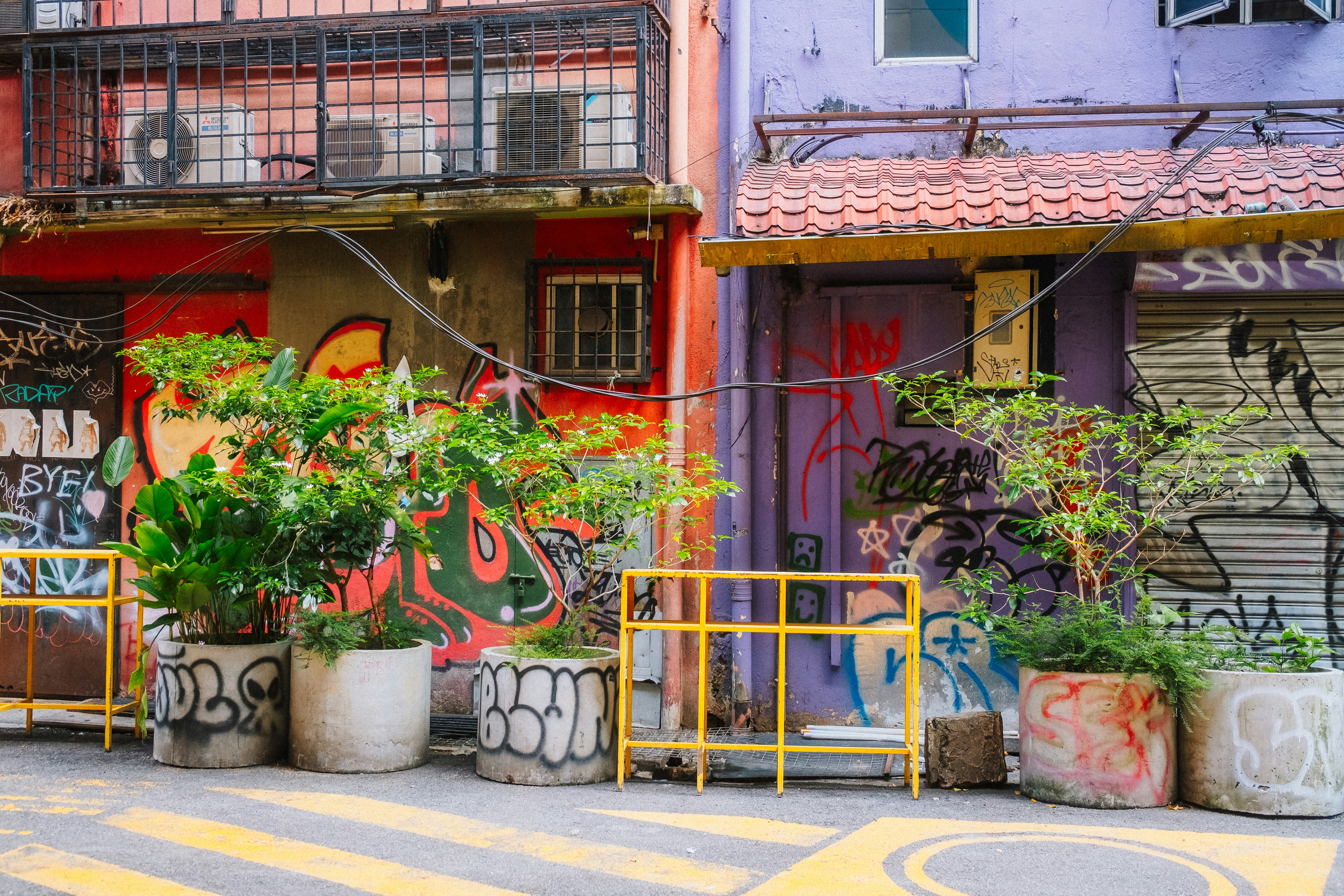 Urban Graffiti Oasis: Colorful Facade and Verdant Planters