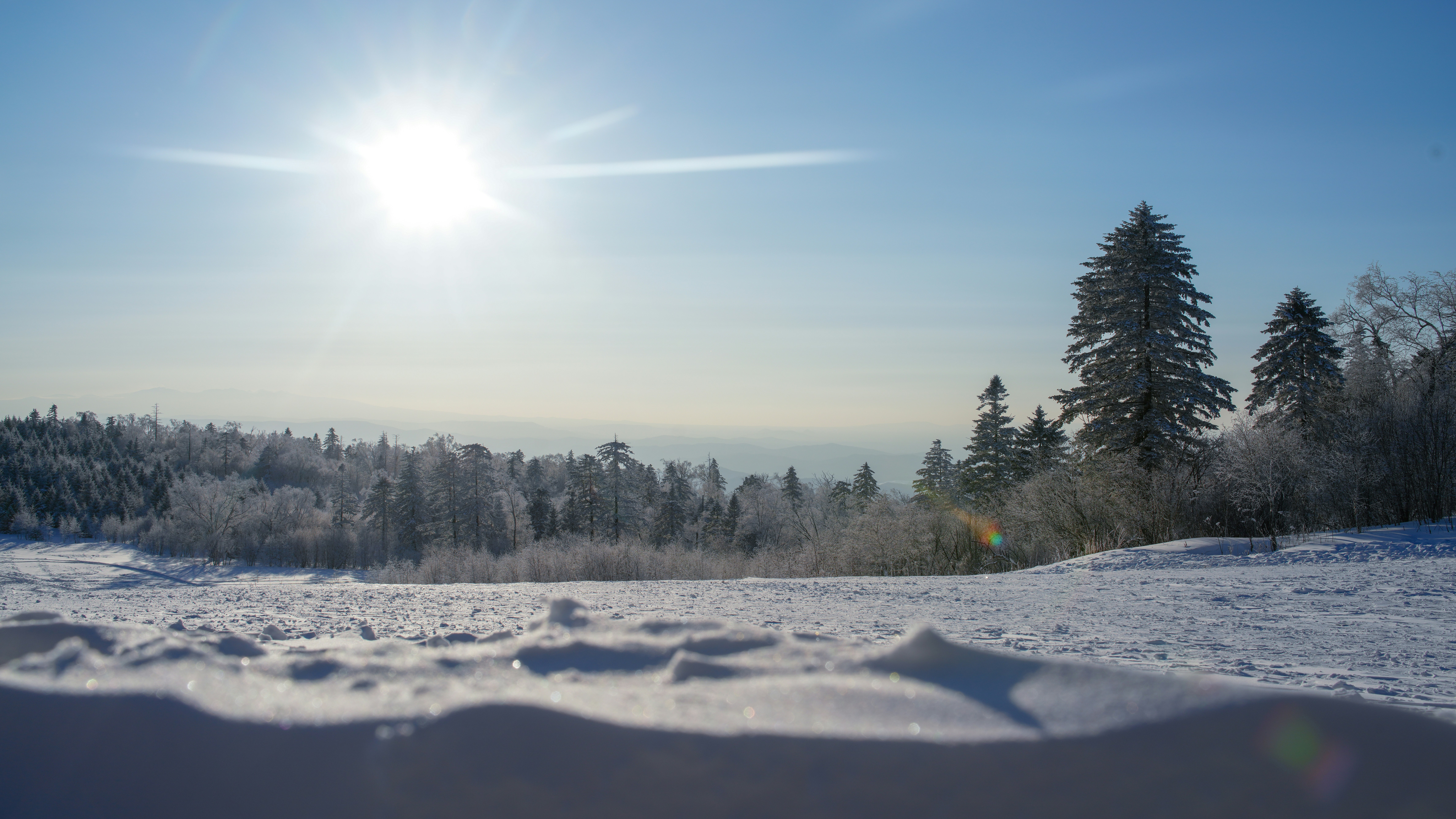 Sunlit Snowfield: Quiet Horizon under a Bright Winter Sky