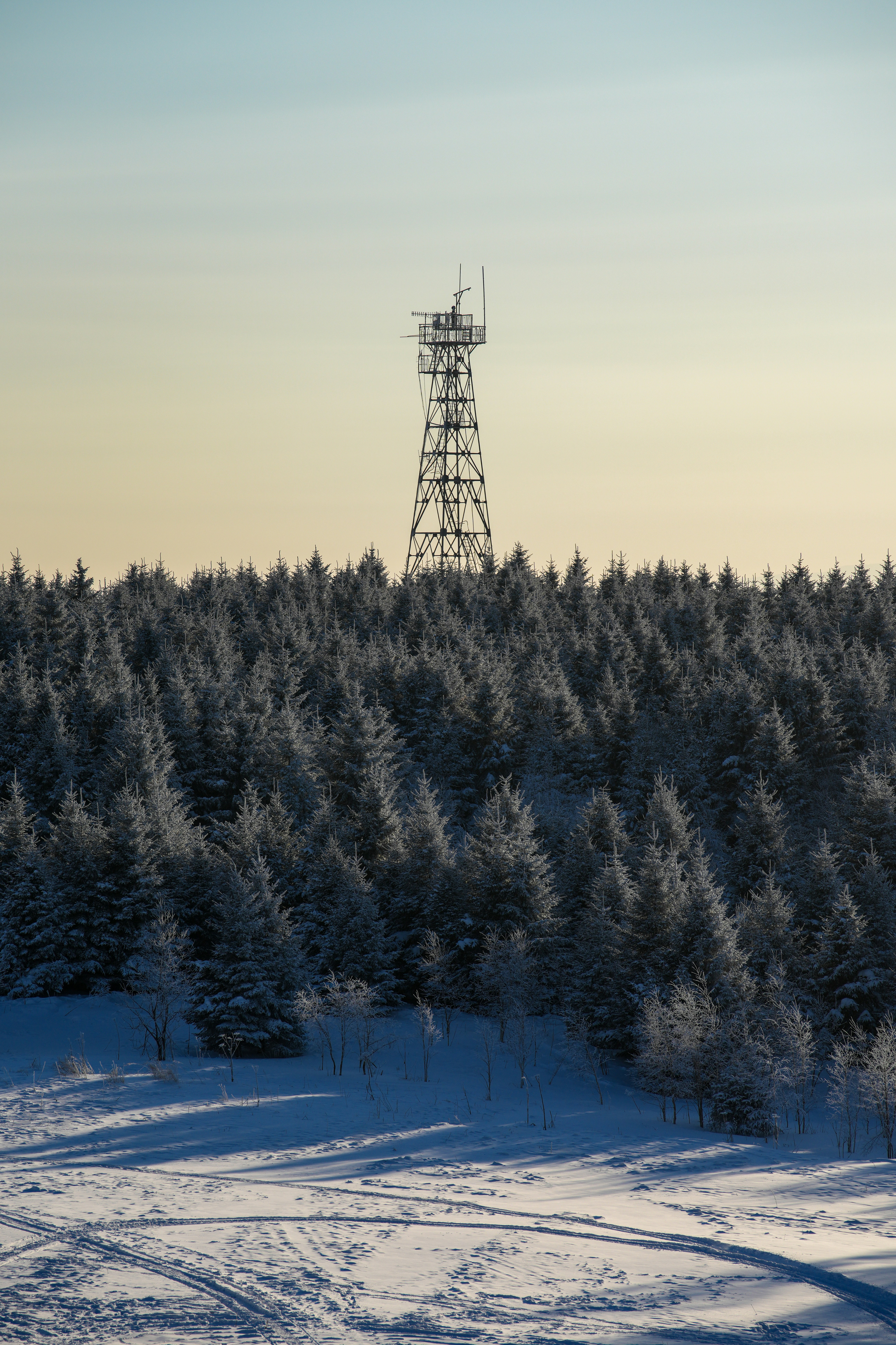 Winter Signal: A lone tower crowned by snow-kissed pines at dusk