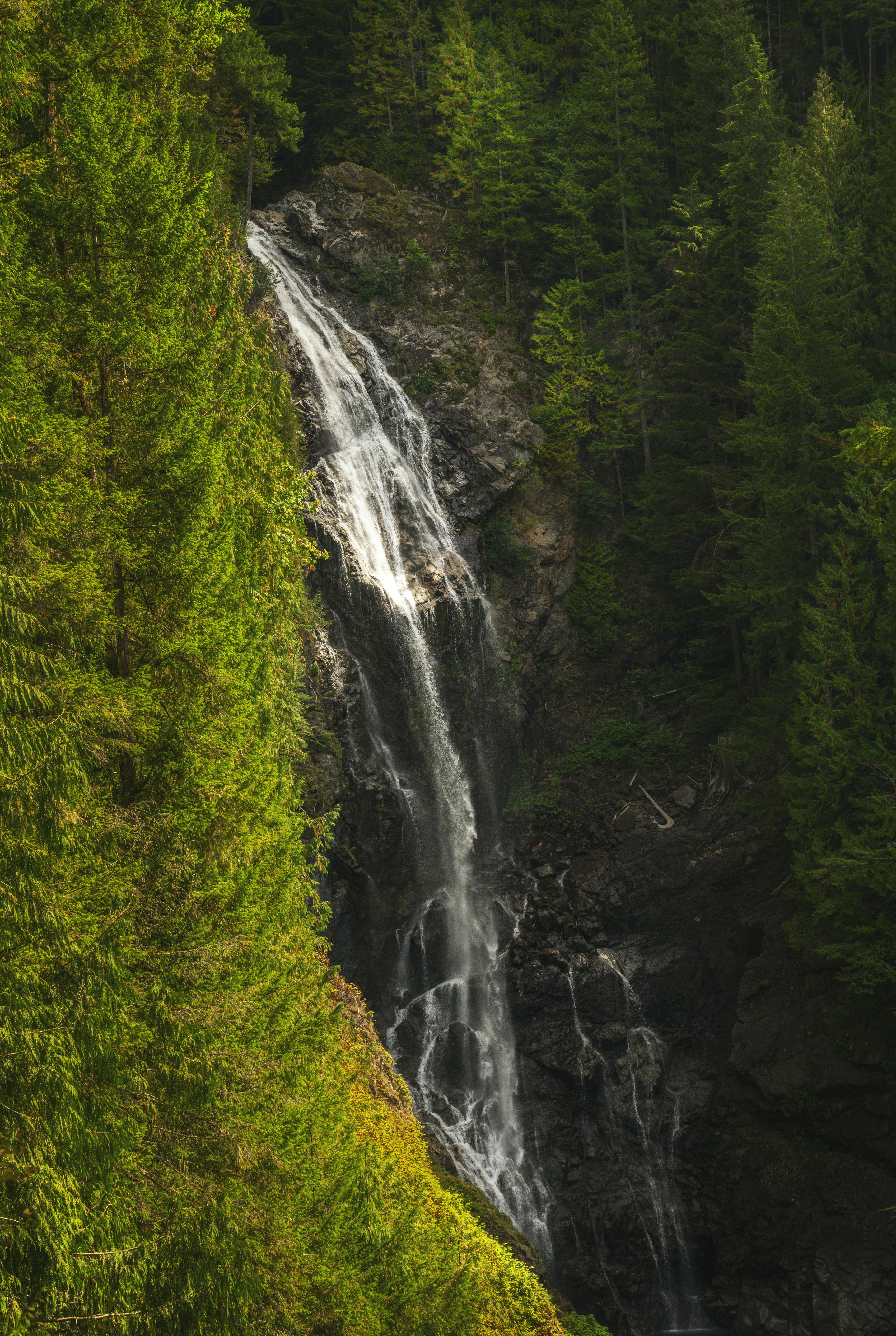 Tall waterfall threads down a rugged rock face framed by dense evergreen forest; the scene emphasizes the vertical motion and mossy greens.
