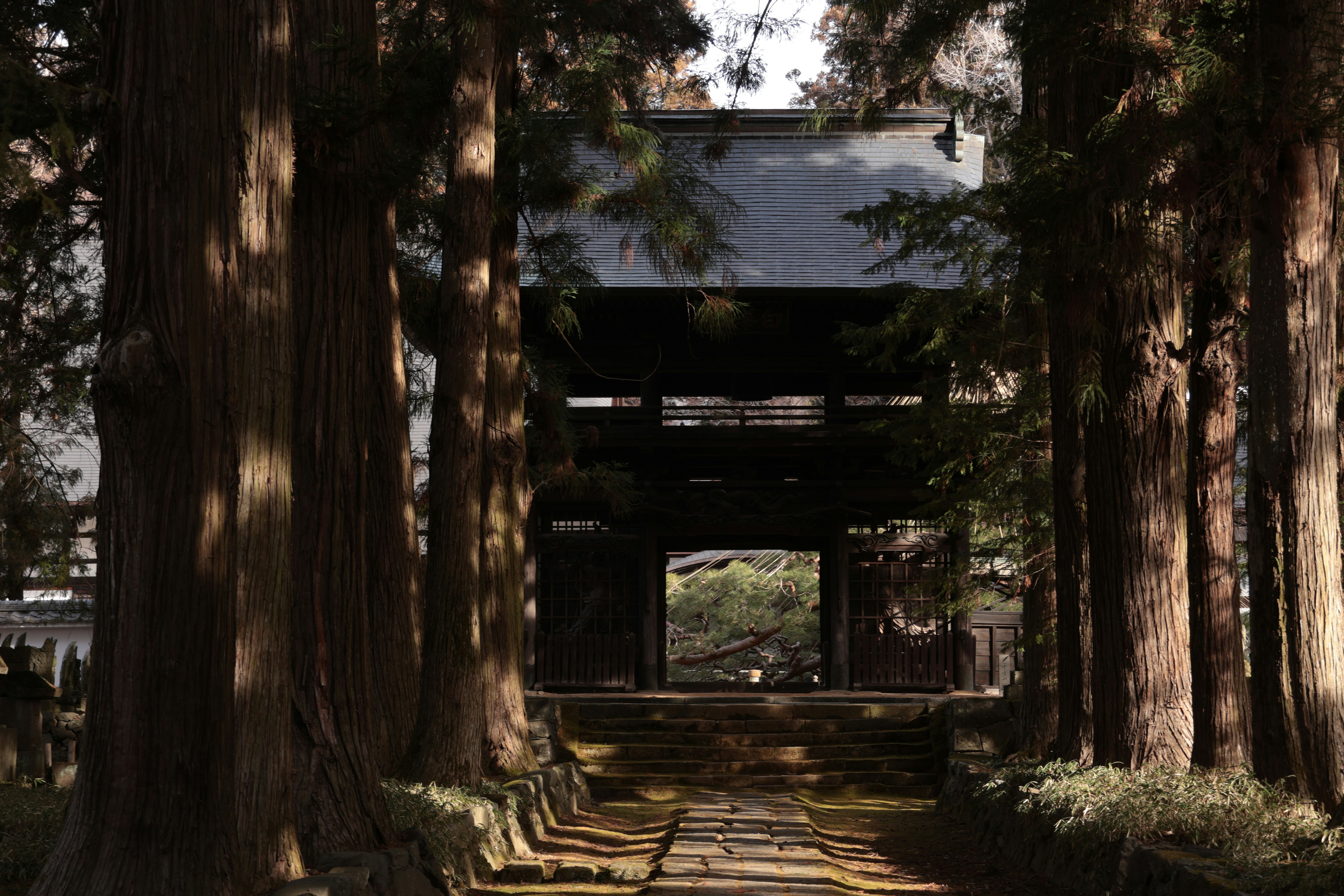 Symmetrical Torii Corridor: Light Through the Cedar Archway
