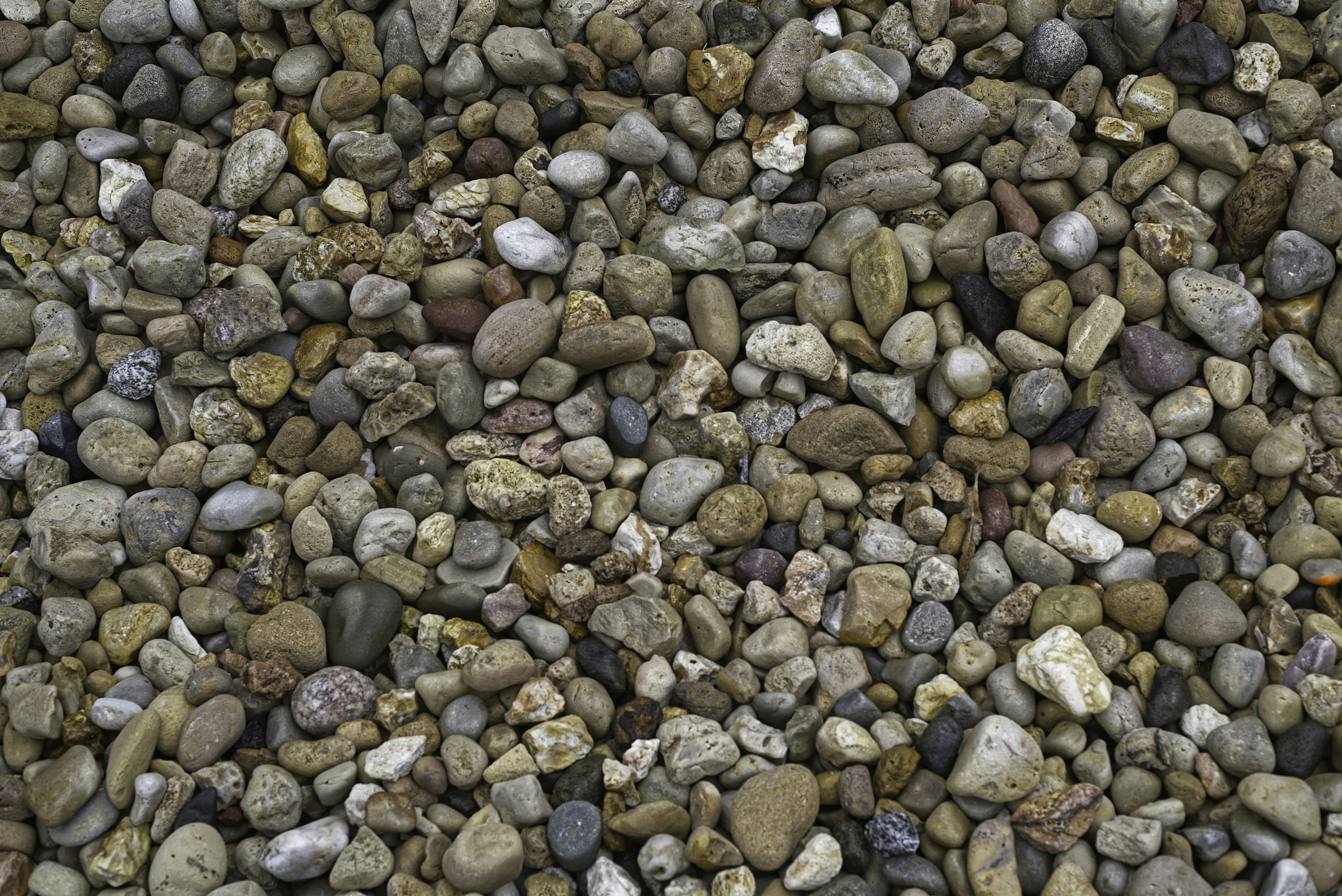 Close-up of a dense bed of small, smooth pebbles in varied colors and tones; the composition emphasizes natural texture and color variation. This is a macro-style surface shot of stones.