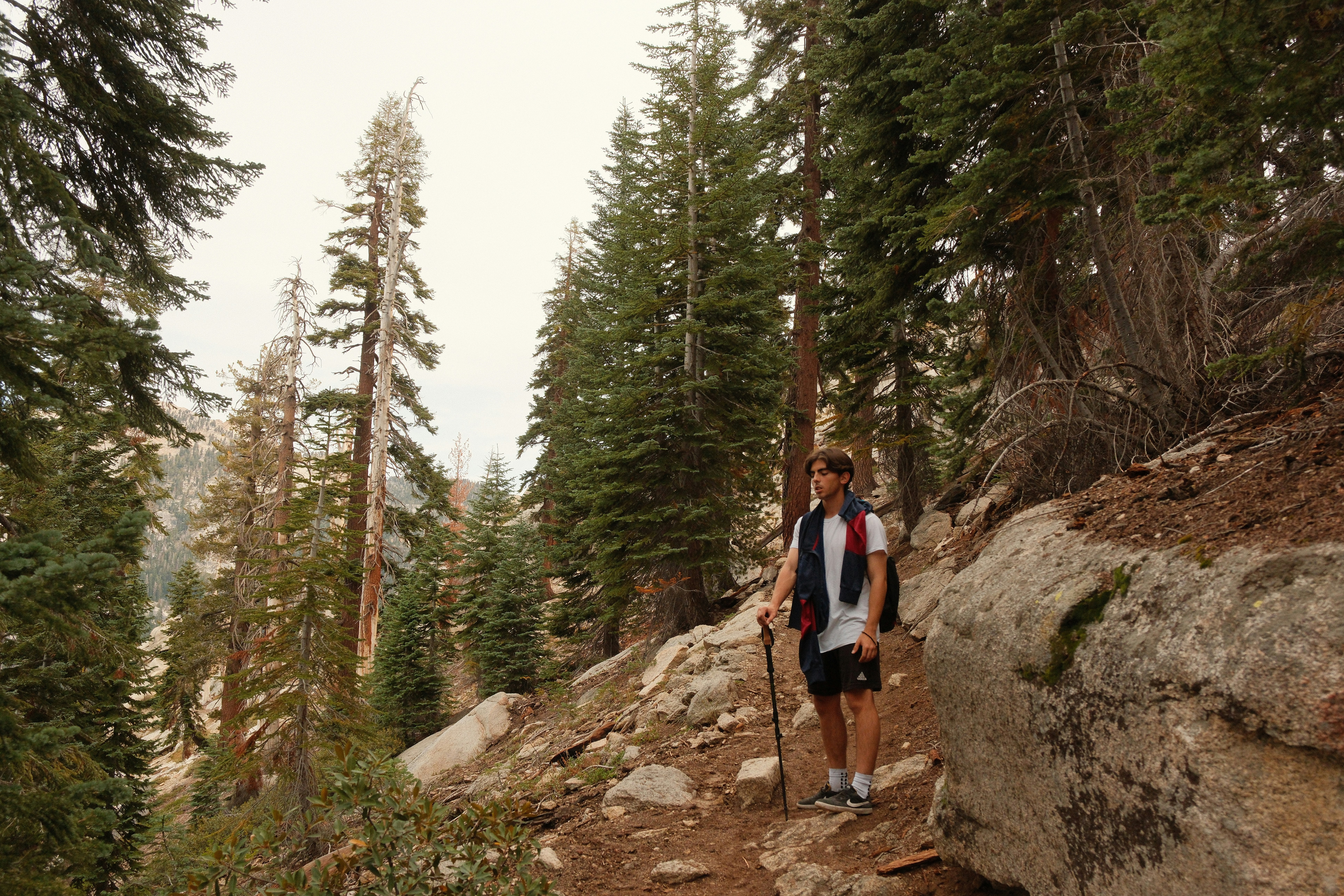 Trail Scout on a Mountain Ridge