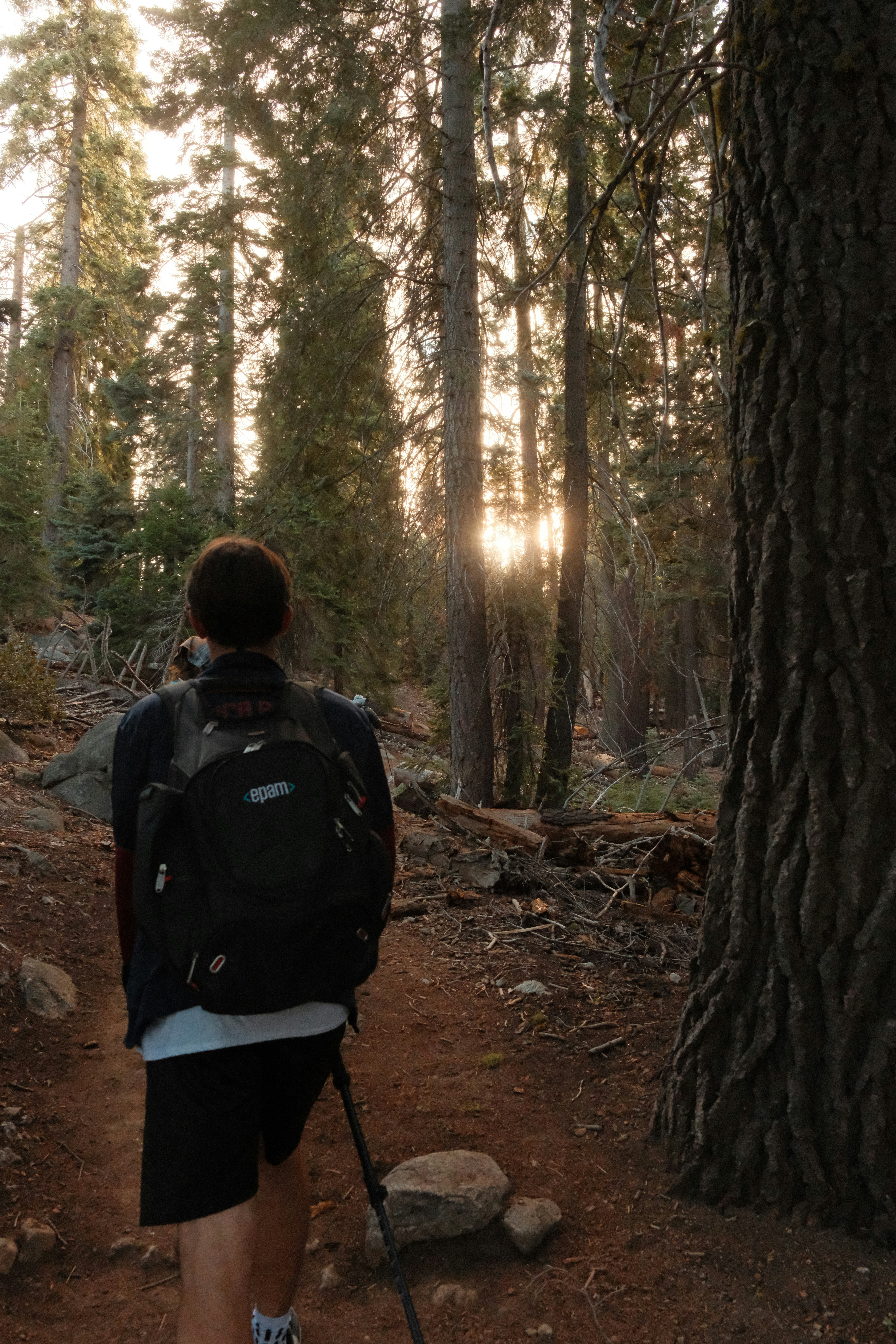 Trail Runner at Dappled Sunset