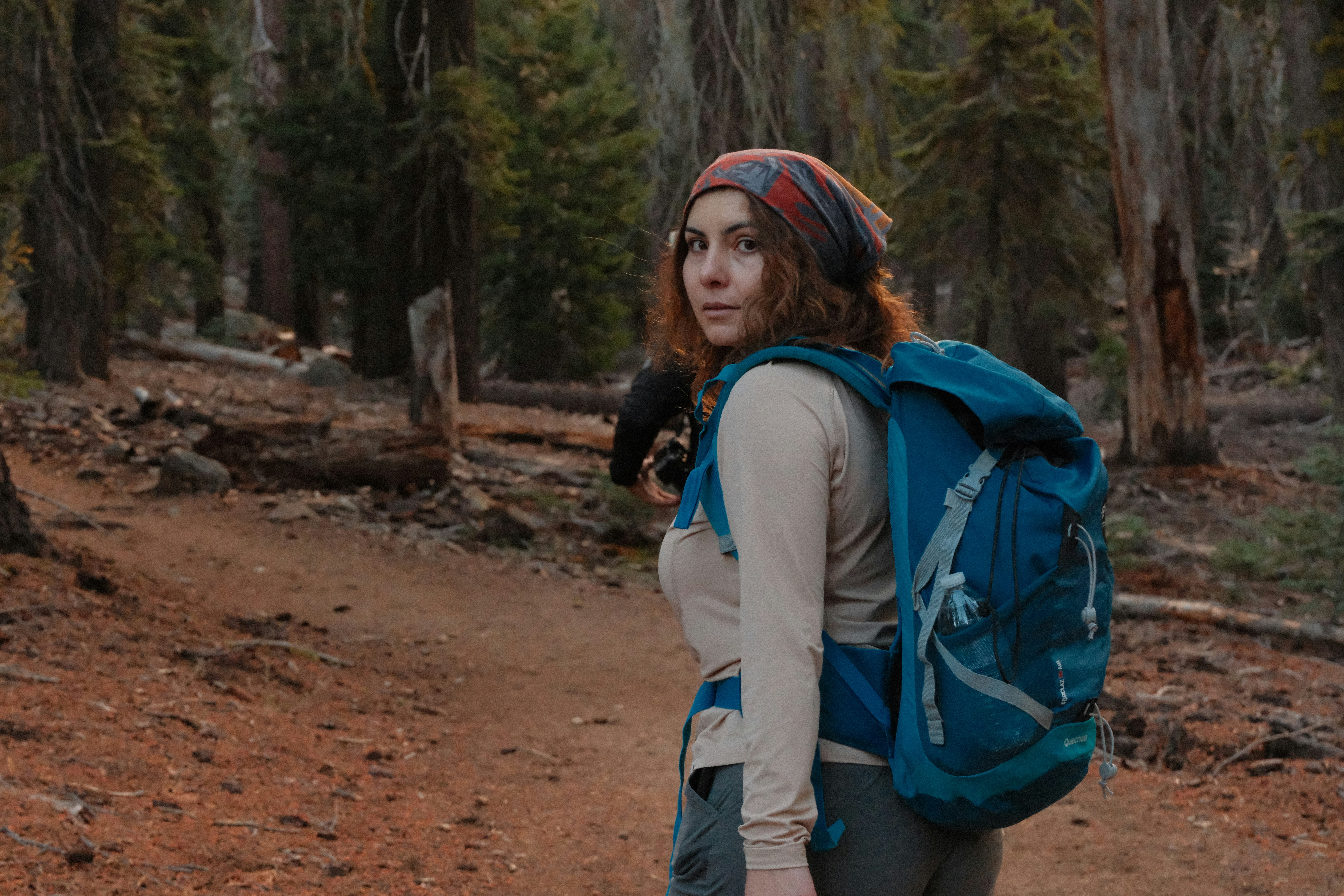 Trailbound: A Hiker Pauses with Calm Resolve