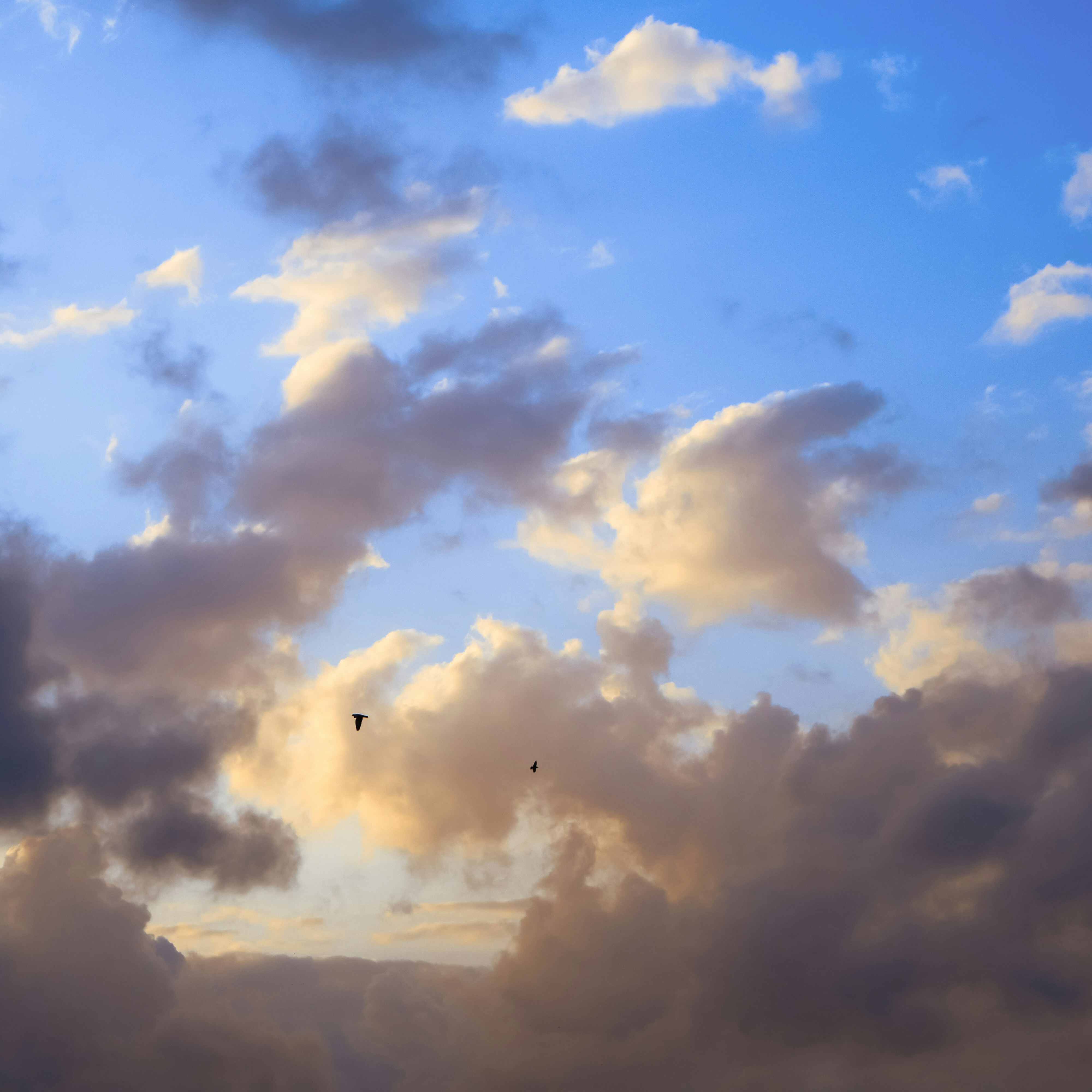 Sunlit Clouds at Dusk: A Quiet Sky in Soft Lux