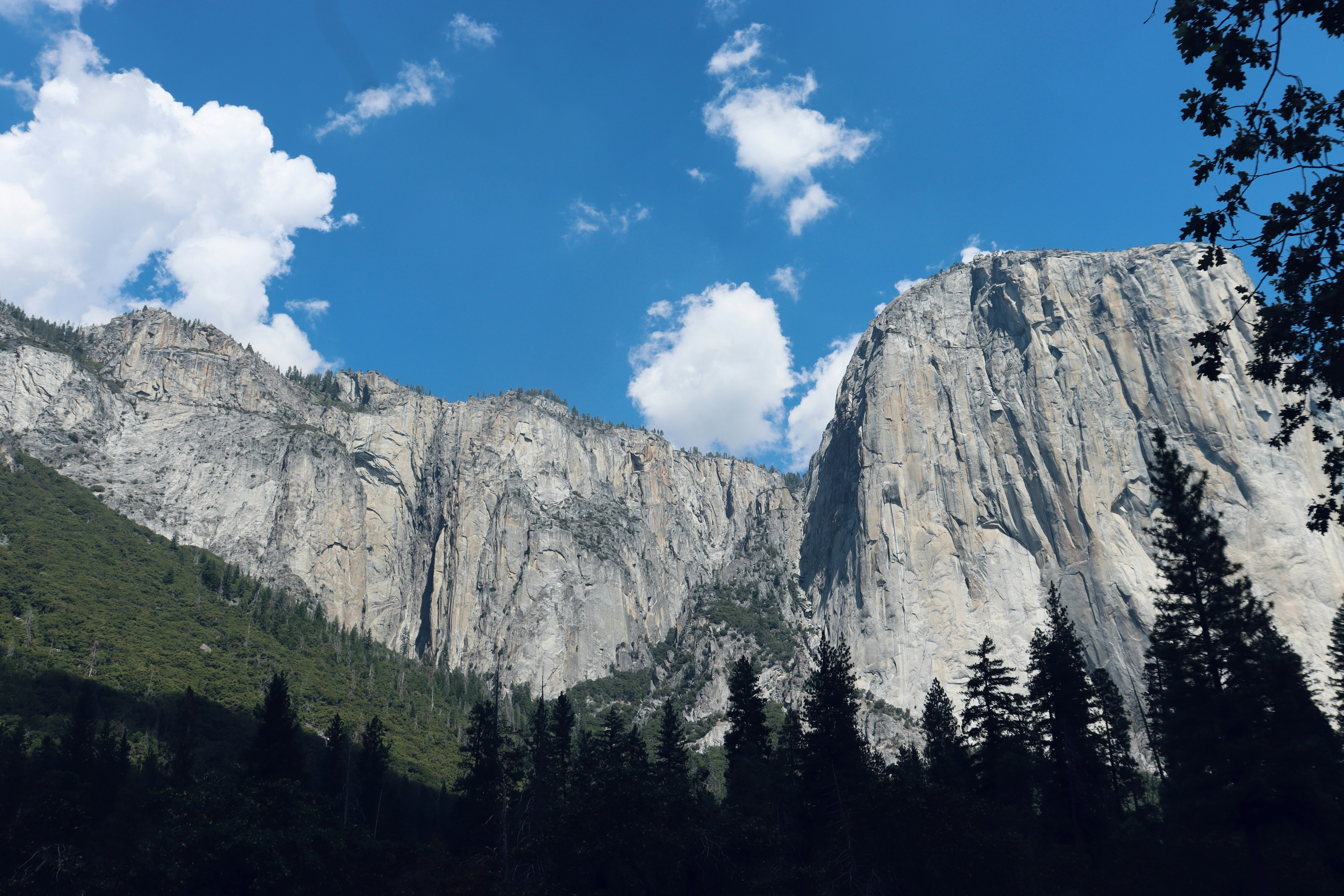 Peak Crown: A Skyward Sliver over Shaded Pines