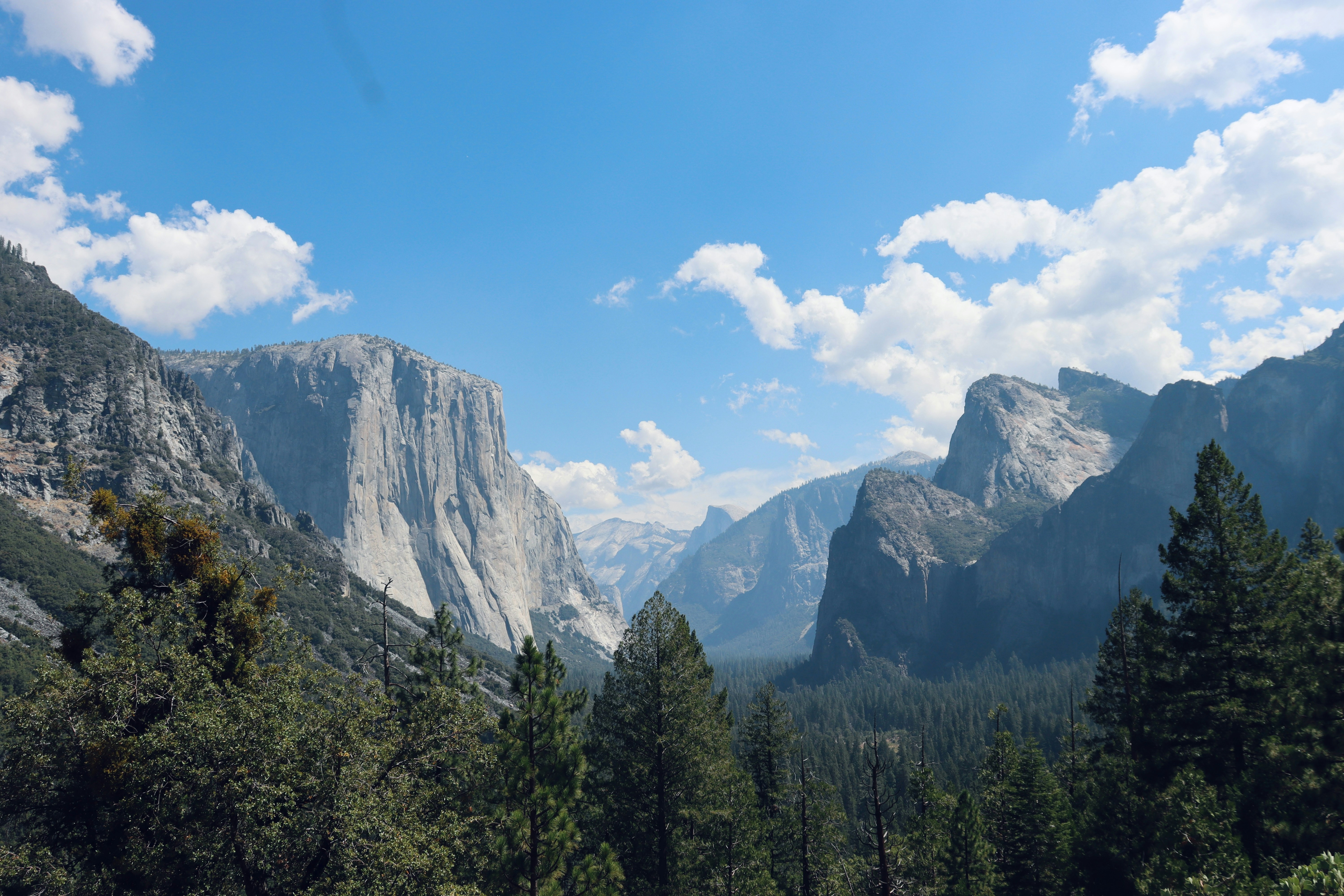 Vast valley scene with towering granite cliffs and evergreen forest bathed in daylight.