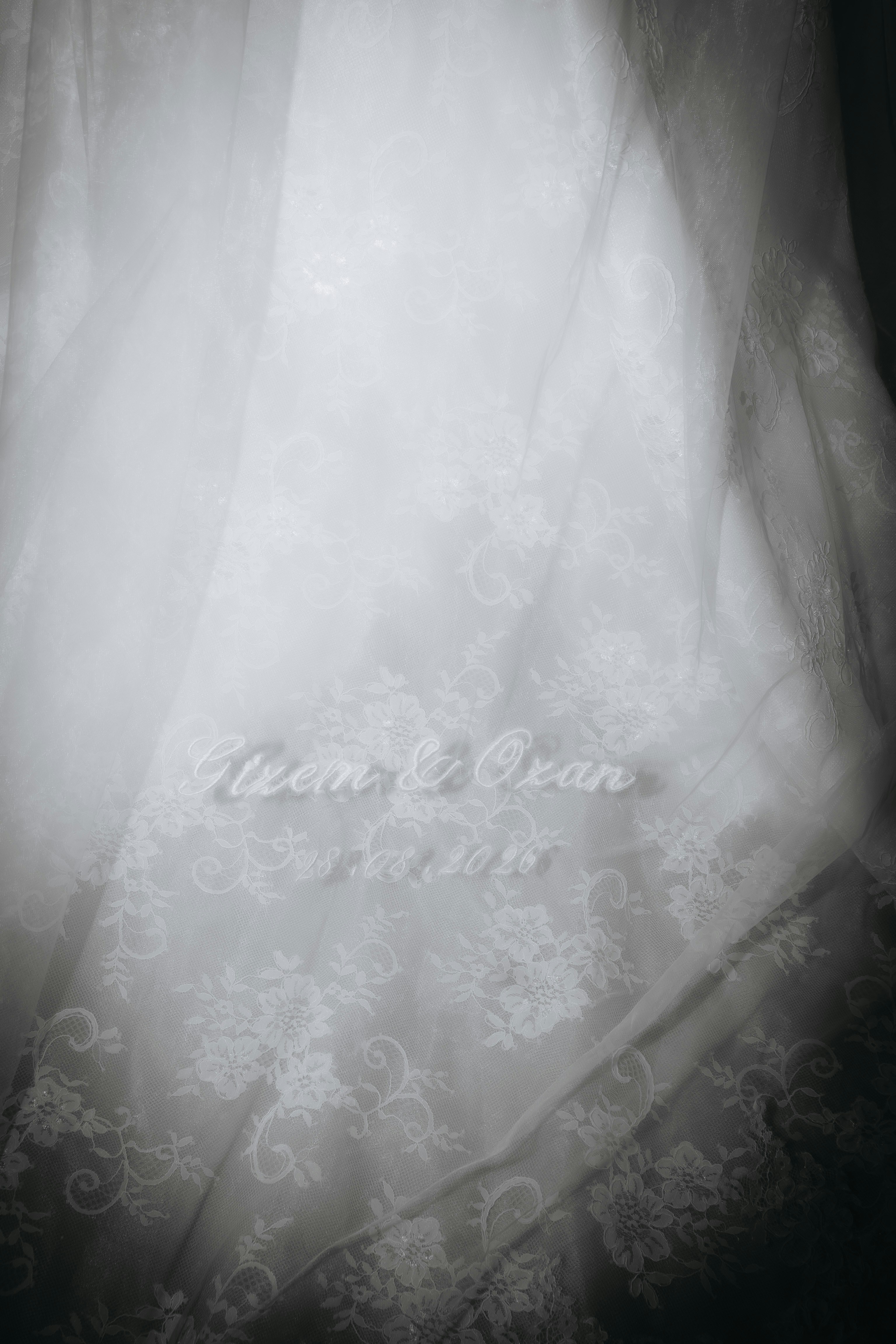 Whisper of Lace: A Bridal Veil in Soft Focus