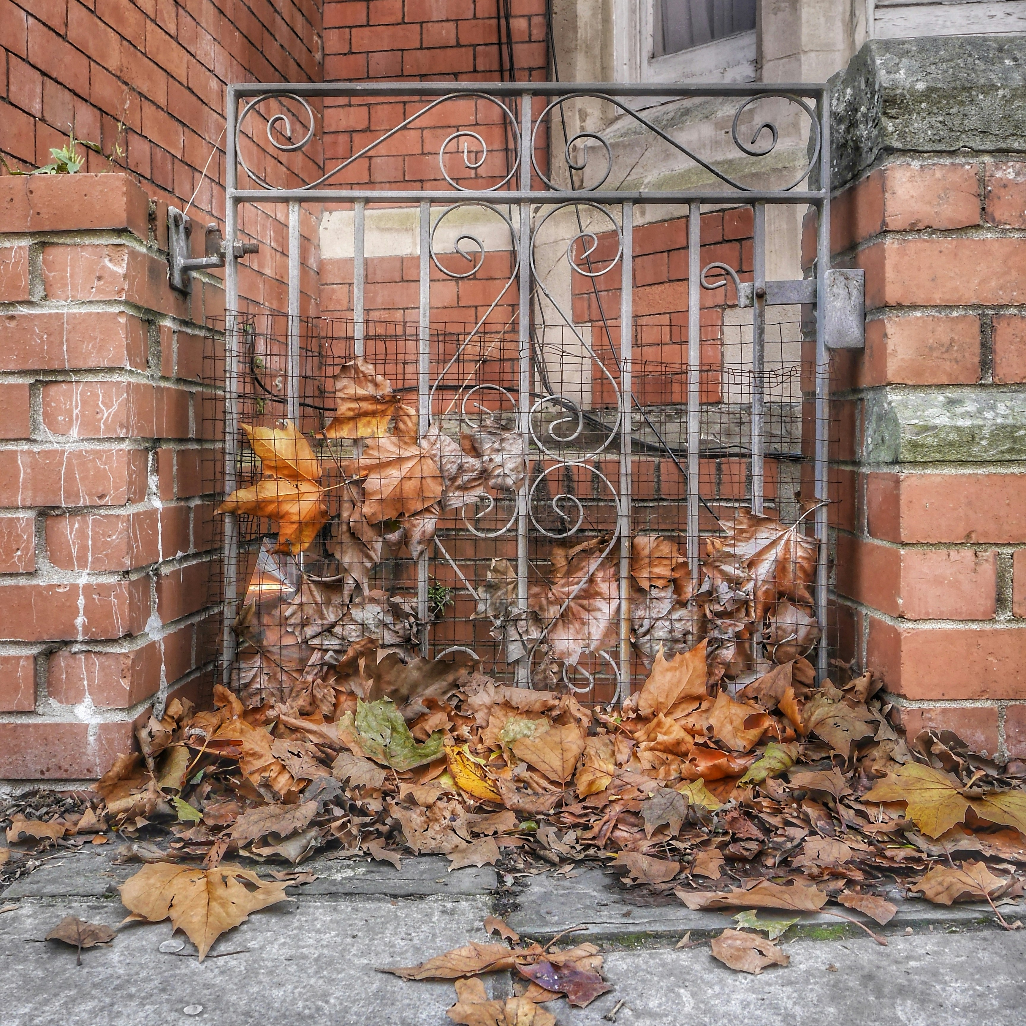 Autumn leaves fill a small brick doorway framed by an ornate metal gate, with a weathered stair and window above. The scene emphasizes seasonal decay and architectural detail.