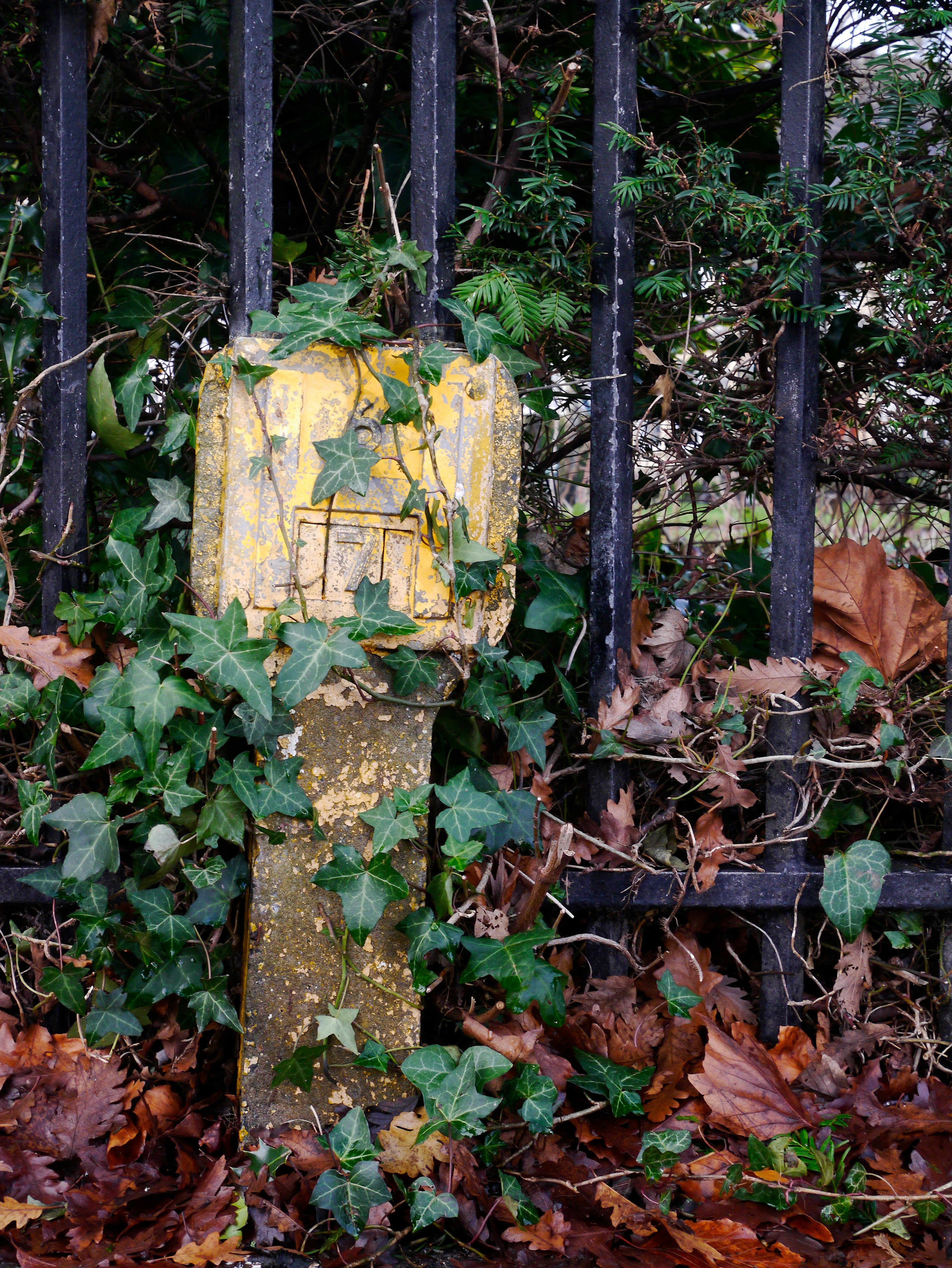 Photo by Richard Williams with Panasonic Lumix G3