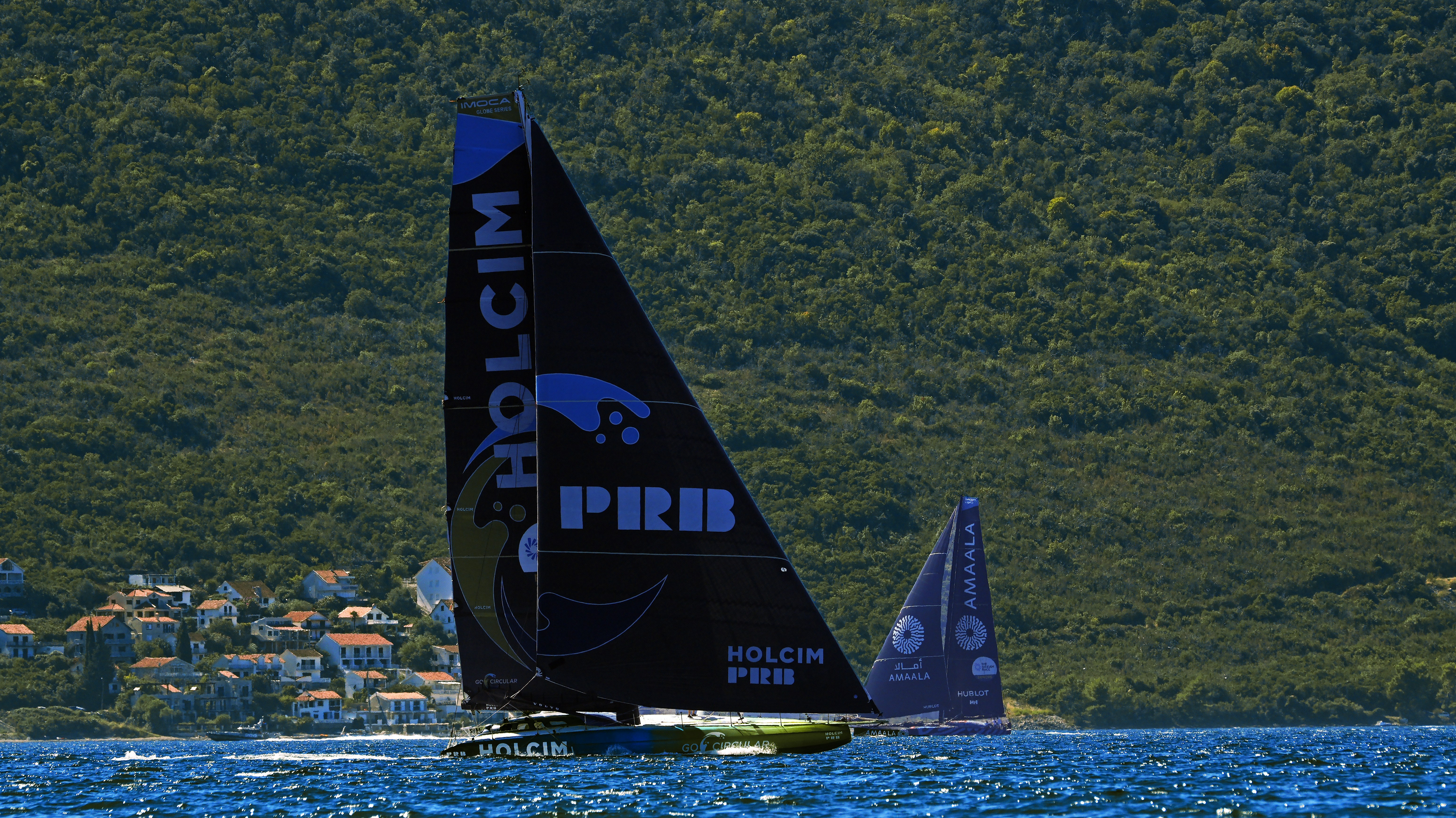 Blue Sails Against a Emerald Shoreline