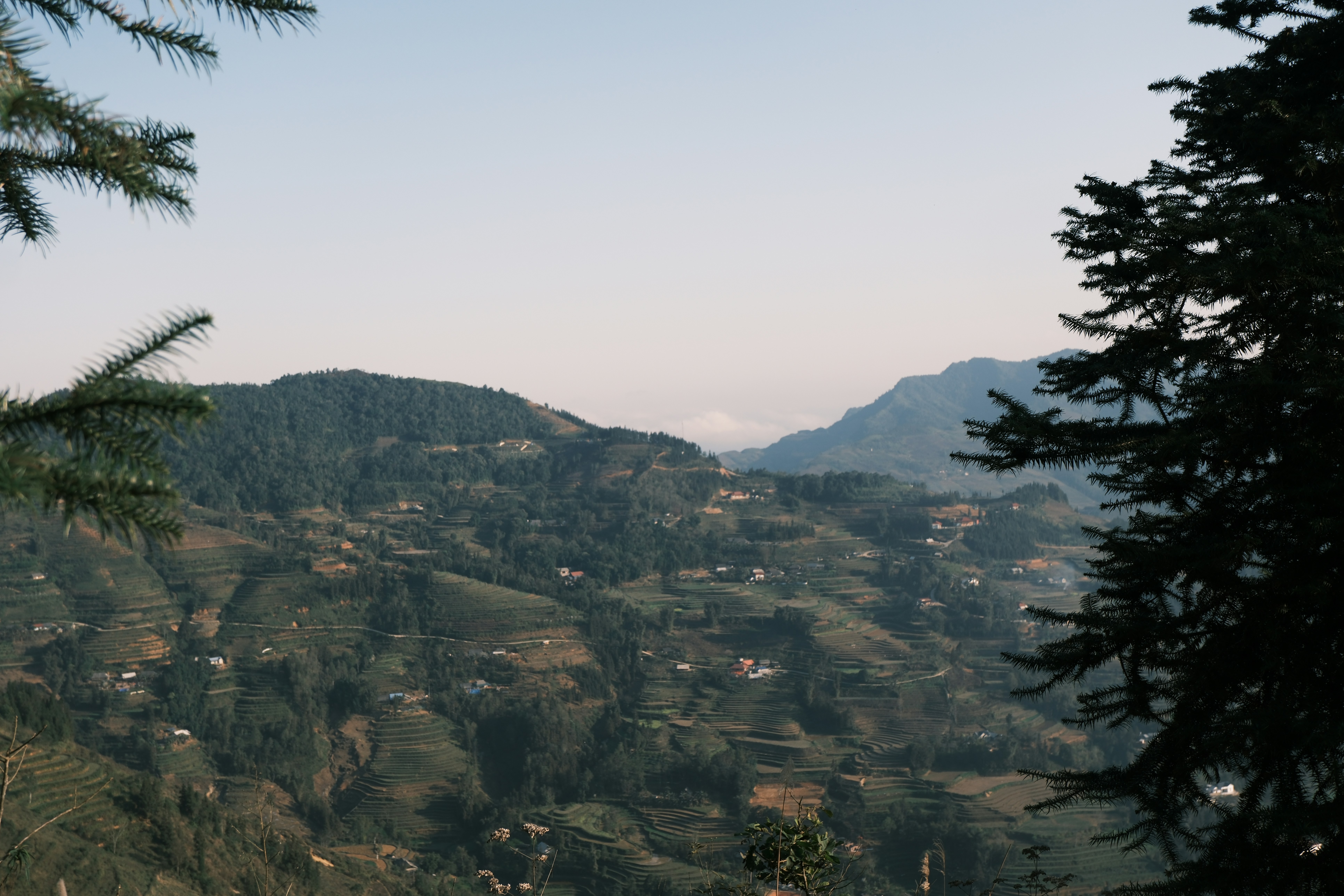 Terraced Valleys Toasted in Quiet Dawn