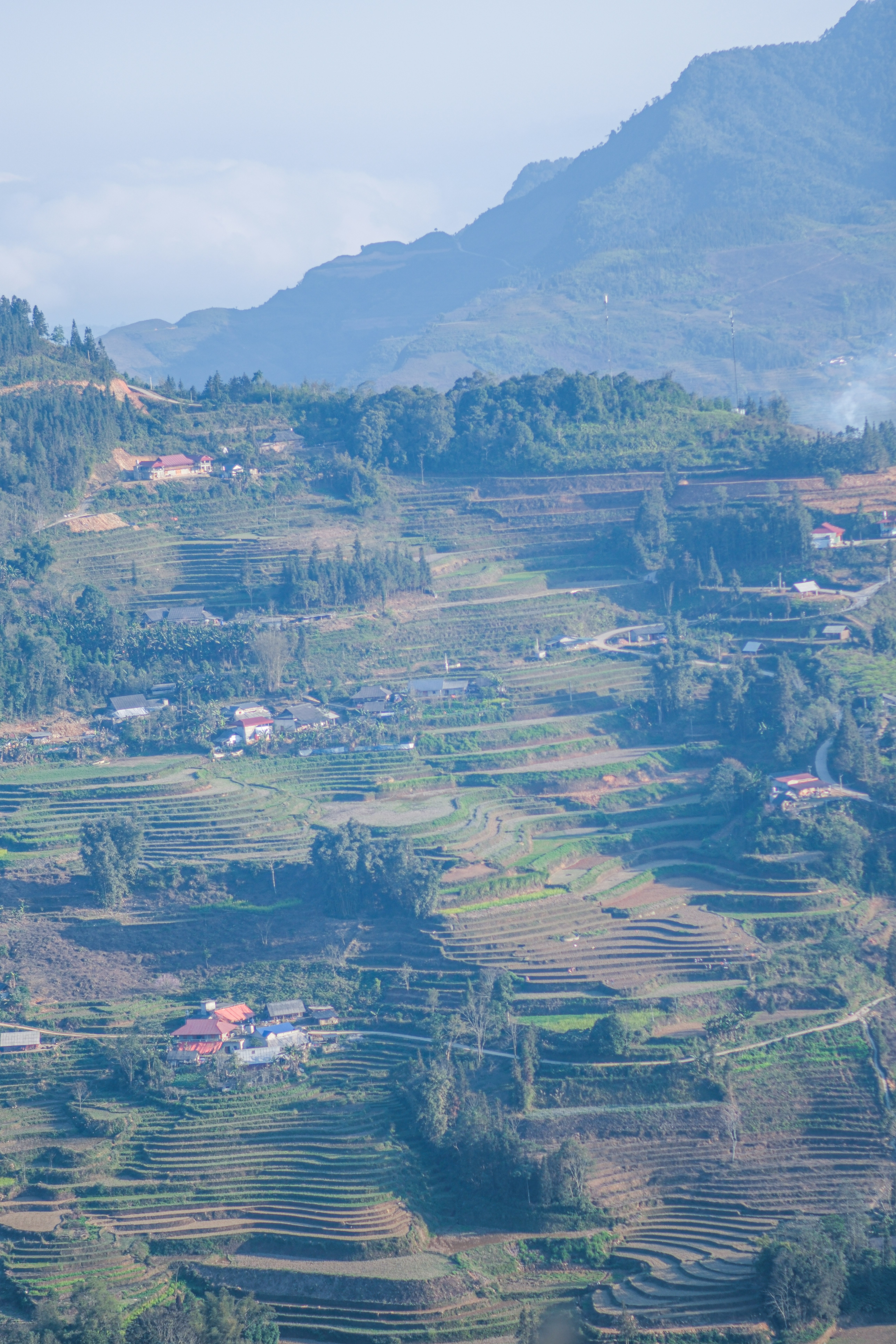 Terraced Hillside Dusk Amid Mountain Veil