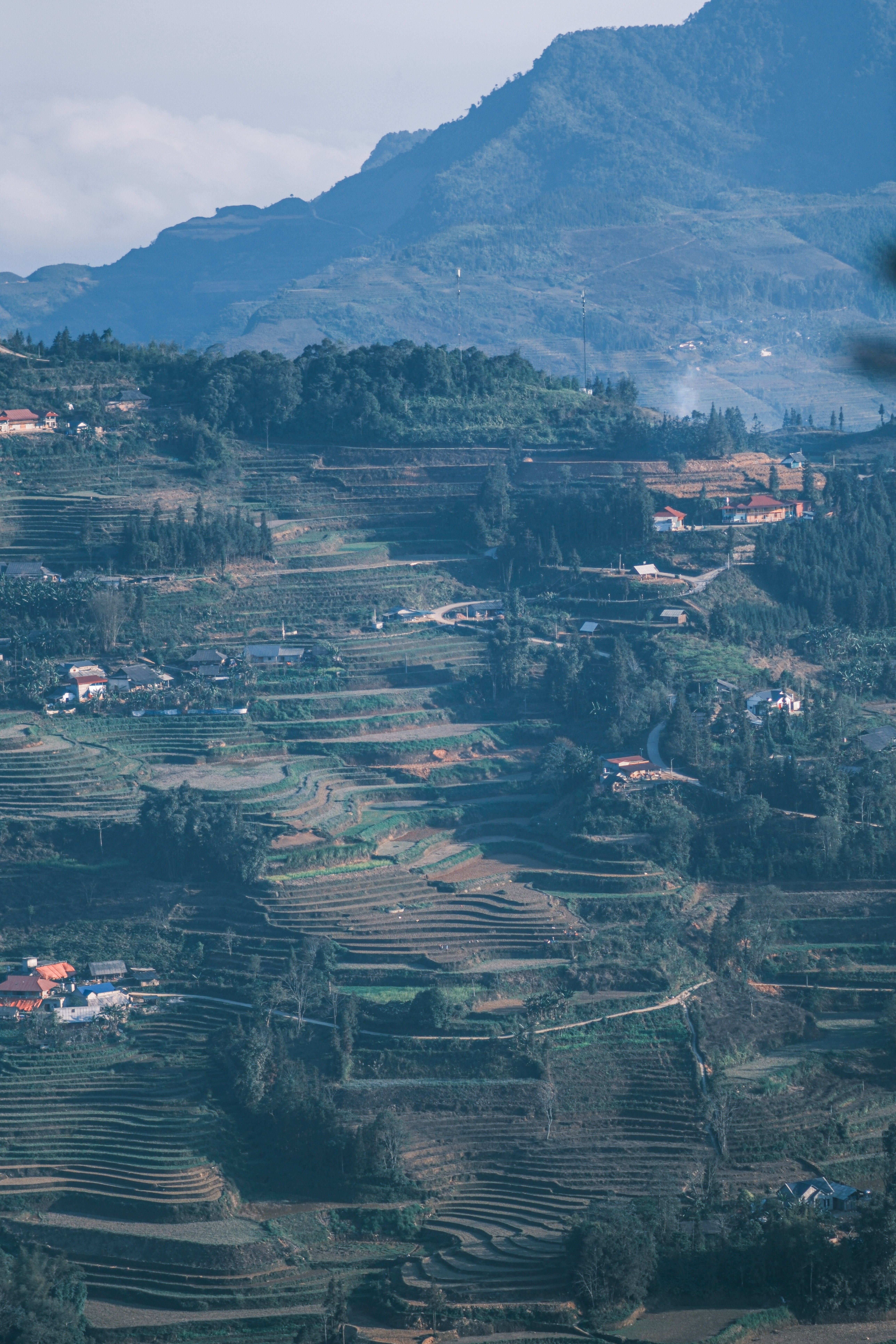 Terraced Hillside Vista Under Quiet Skies