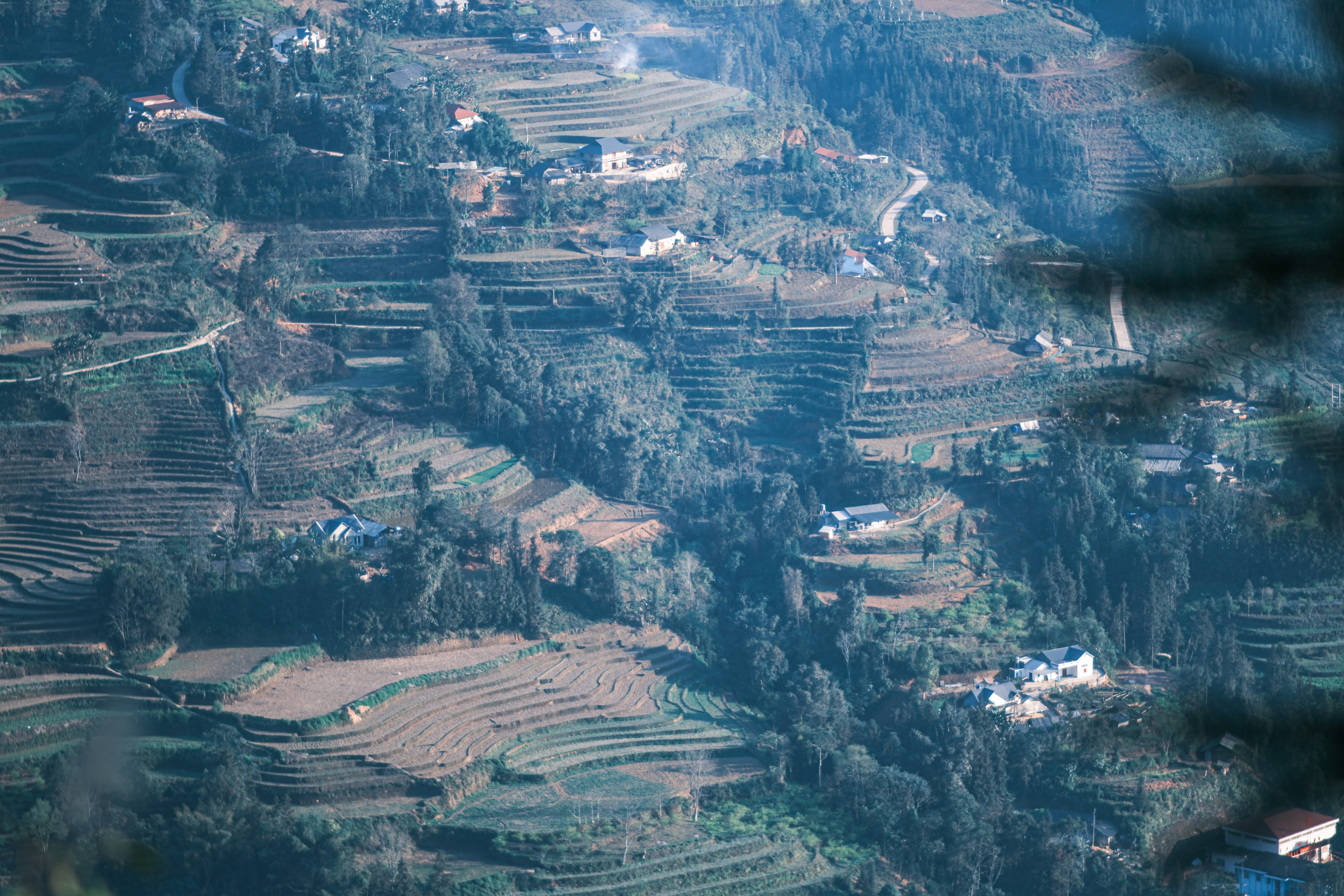 Terraced hillside whispers of a quiet valley