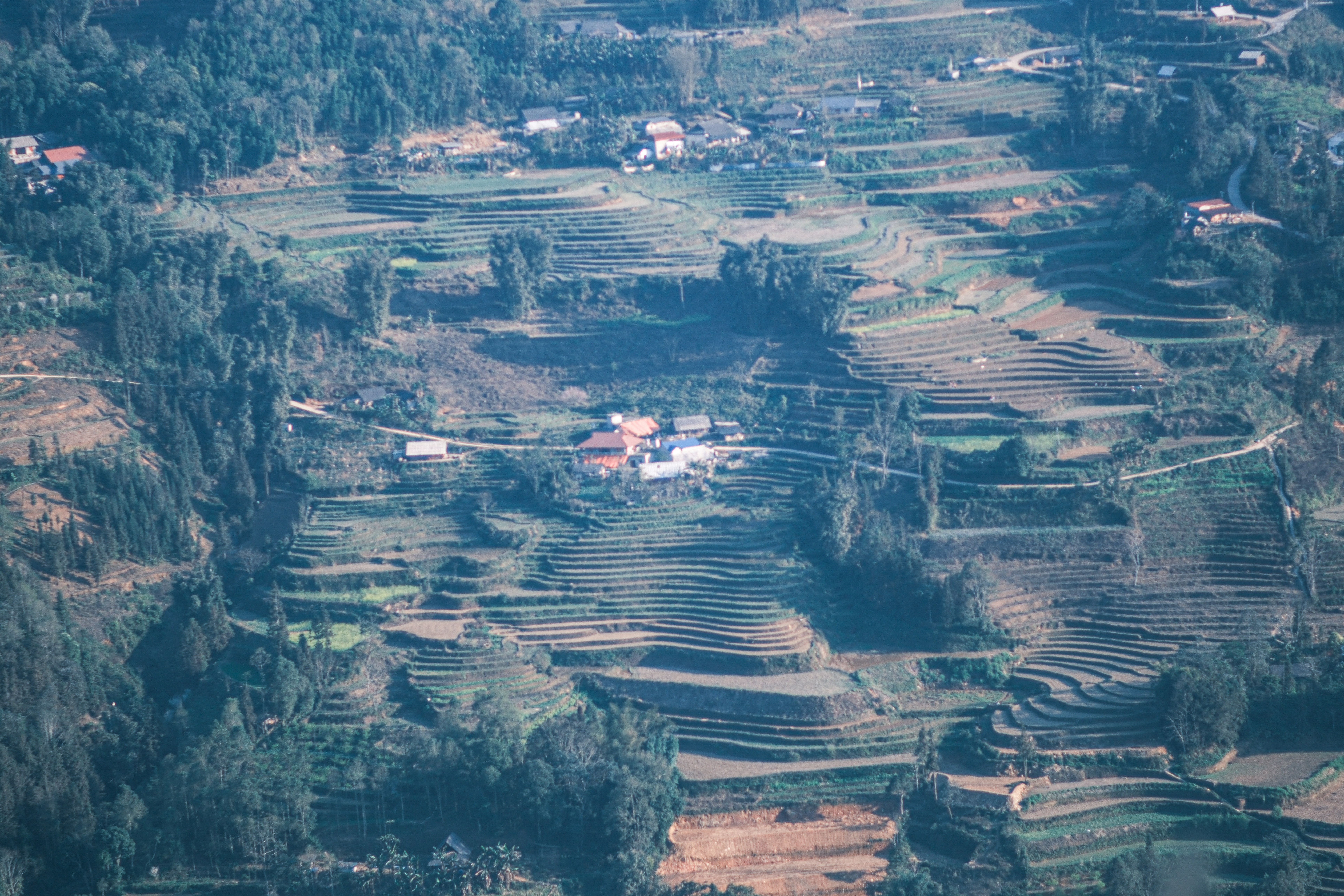Terraced hillside village under a cool valley mist