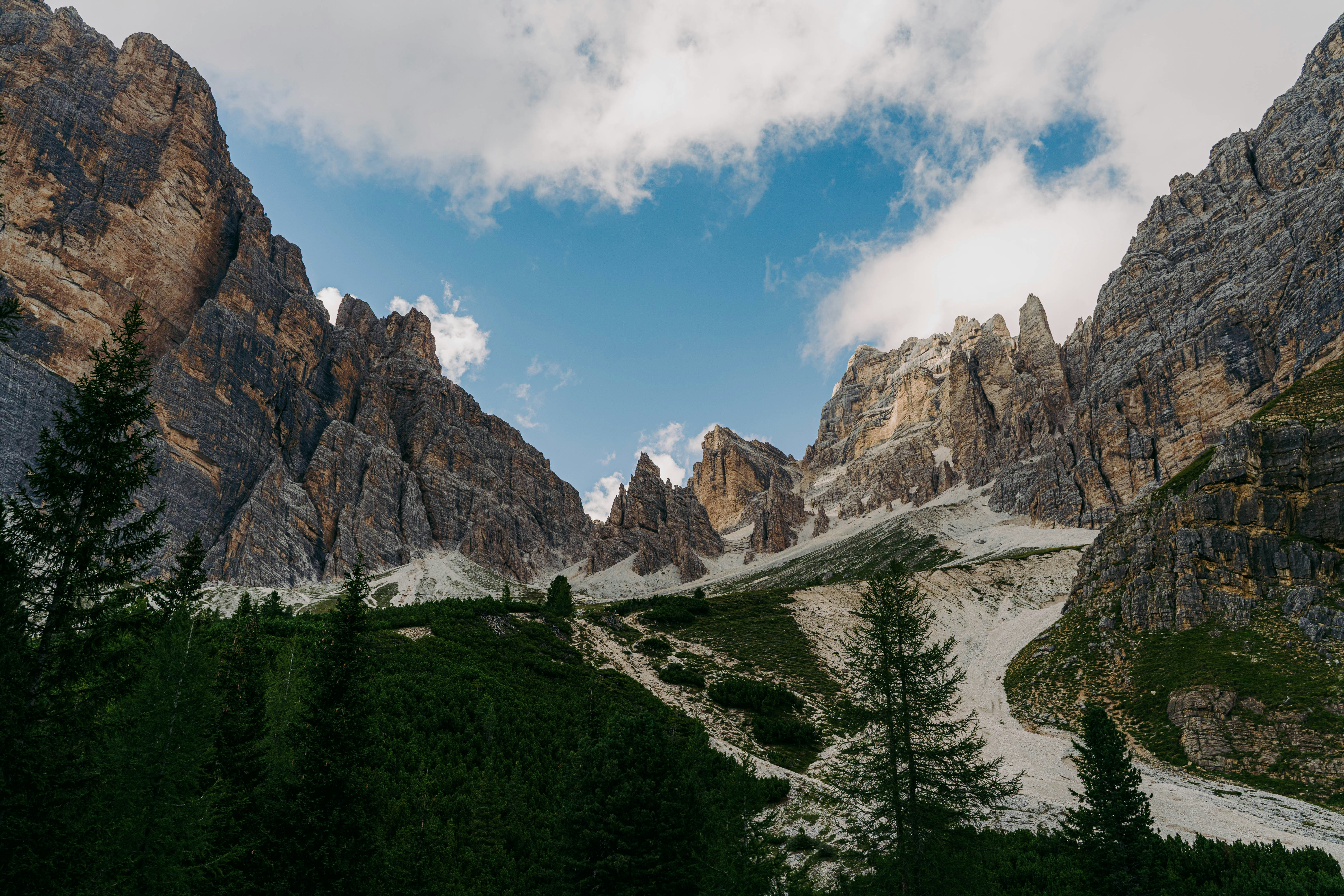 Craggy Peaks Over a Pine-Fed Foothill