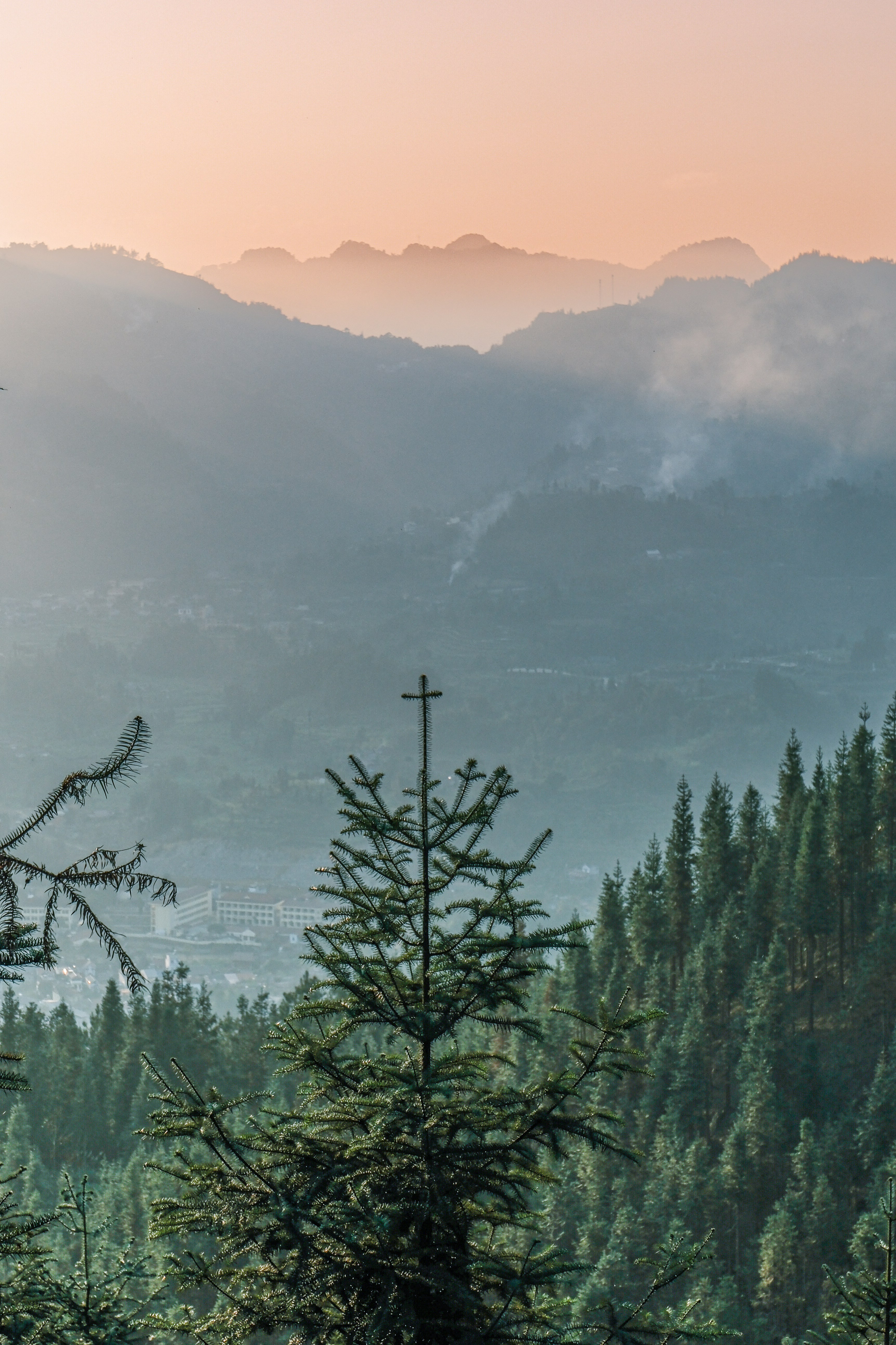 Crossing Mist: A Lone Tree Silhouetted Against a Mountain Dawn