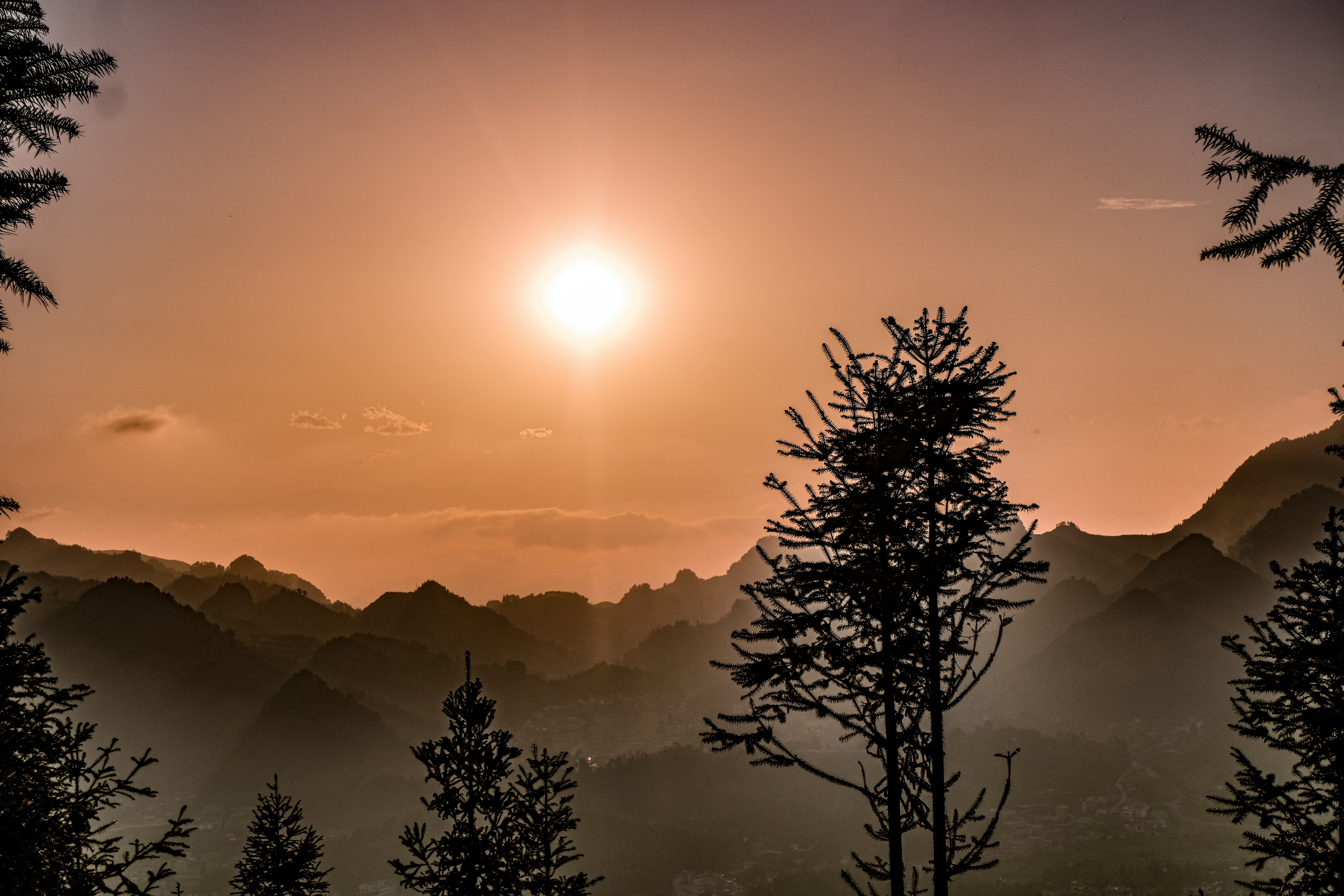 Sunrise Over Silhouetted Pines in a Valleyscape