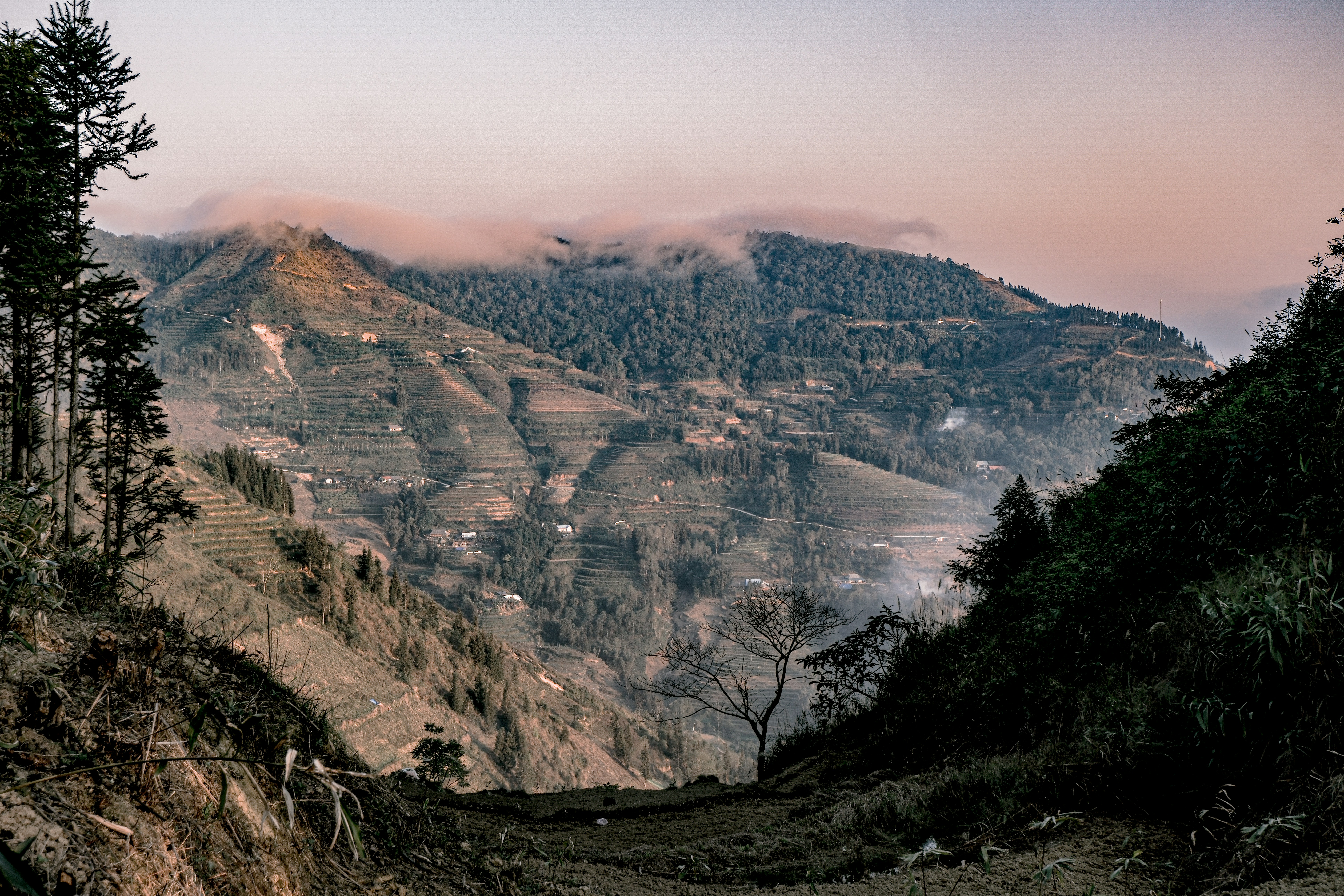 Terraced Valleys Under a Peach-Soft Sky