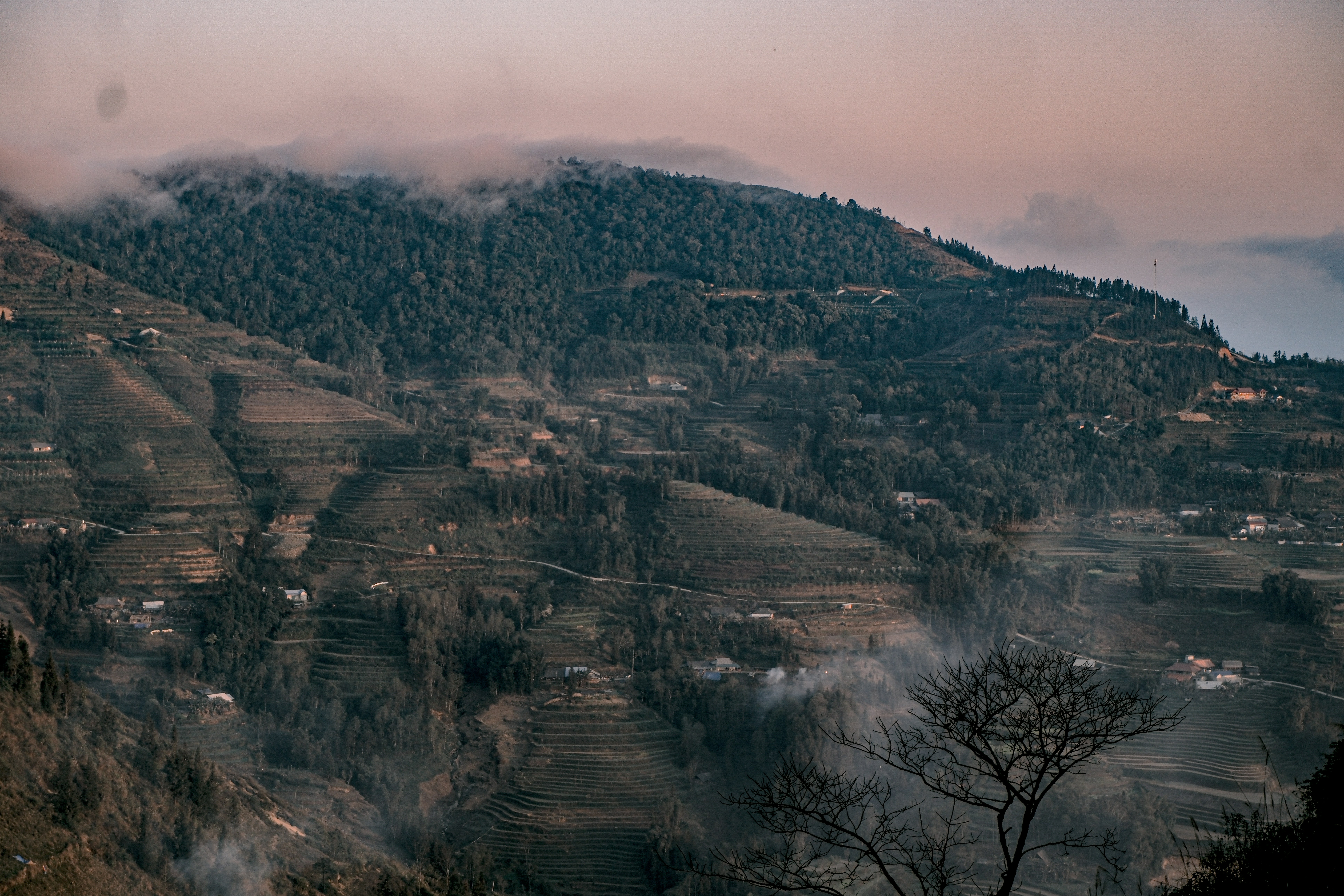 Terraced Hillside at Dusk with Misty Ridge