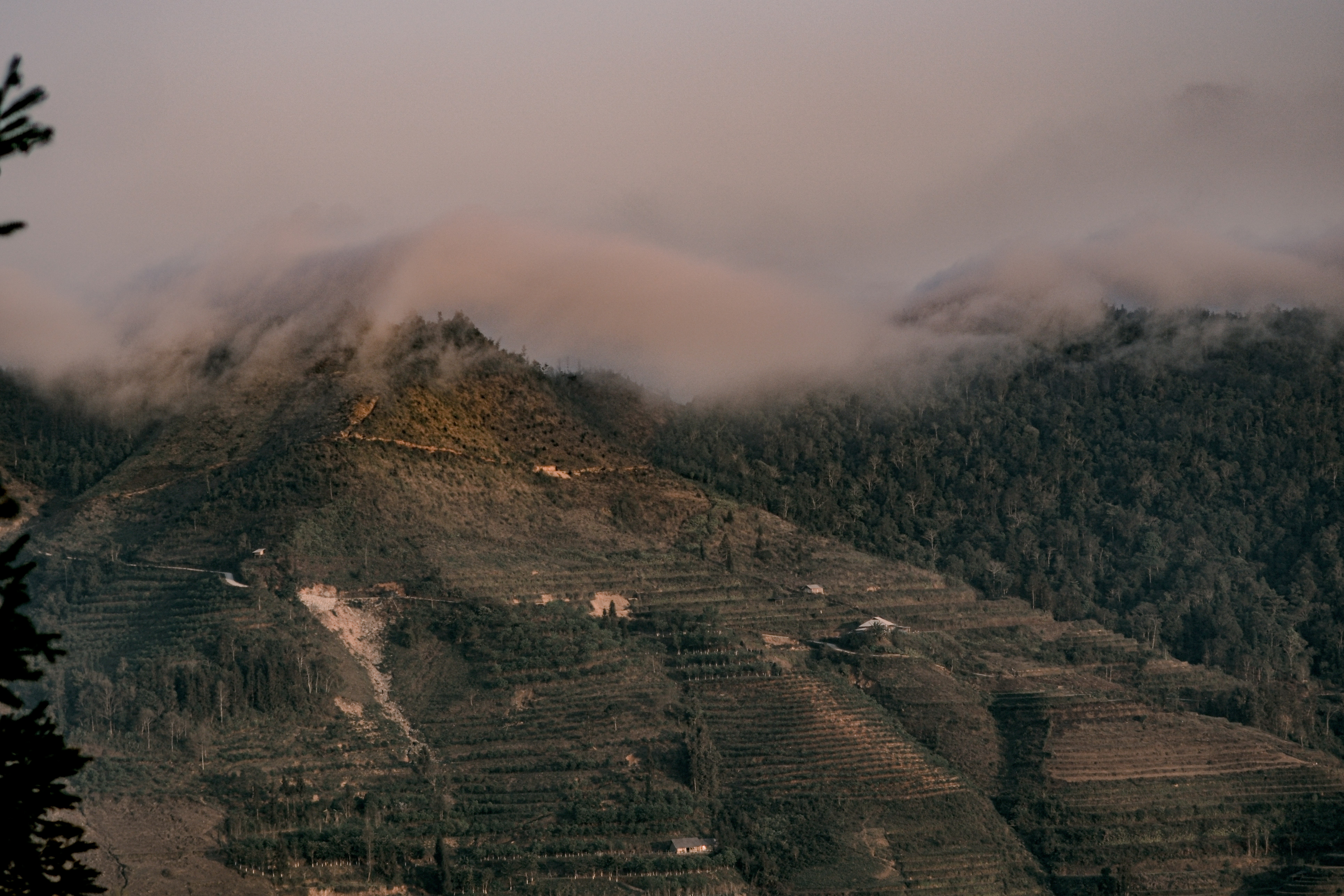 Mist over Terraced Valleys: A Quiet Morning Quietly Revealed