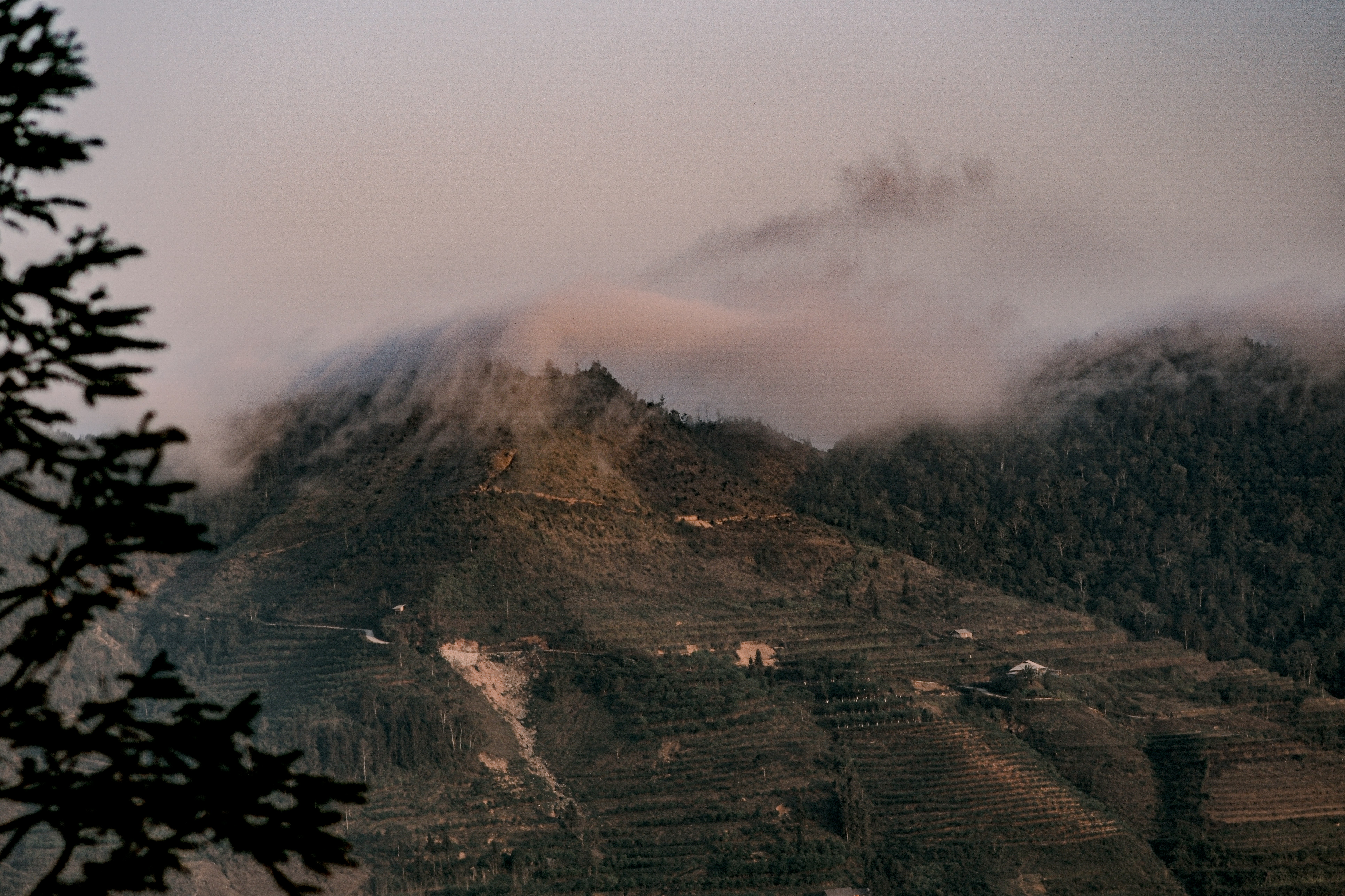 Misty Summit: Terraced Ridge Veiled by Evening Clouds