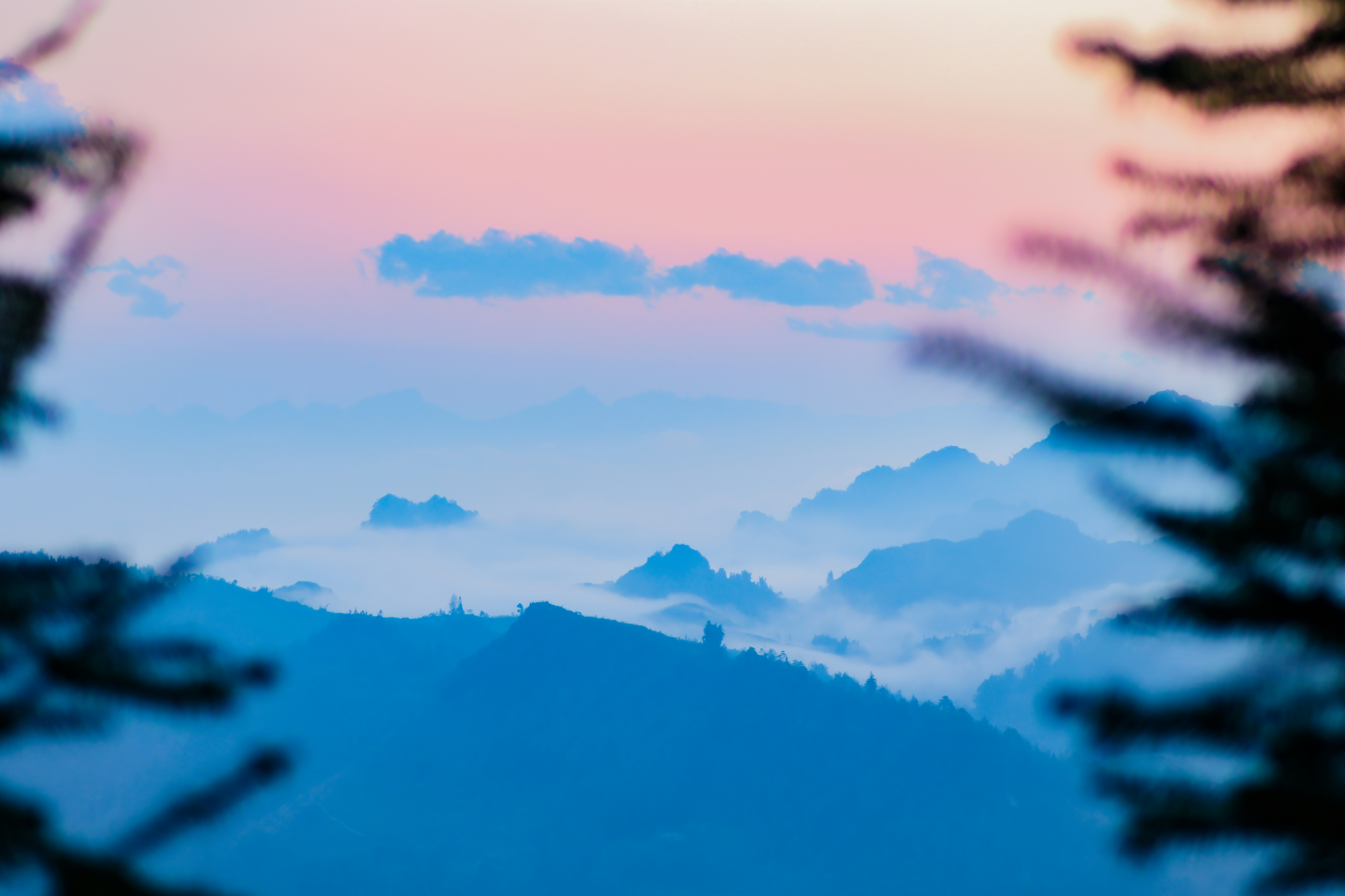 misty mountain silhouettes at dawn through blurred pines