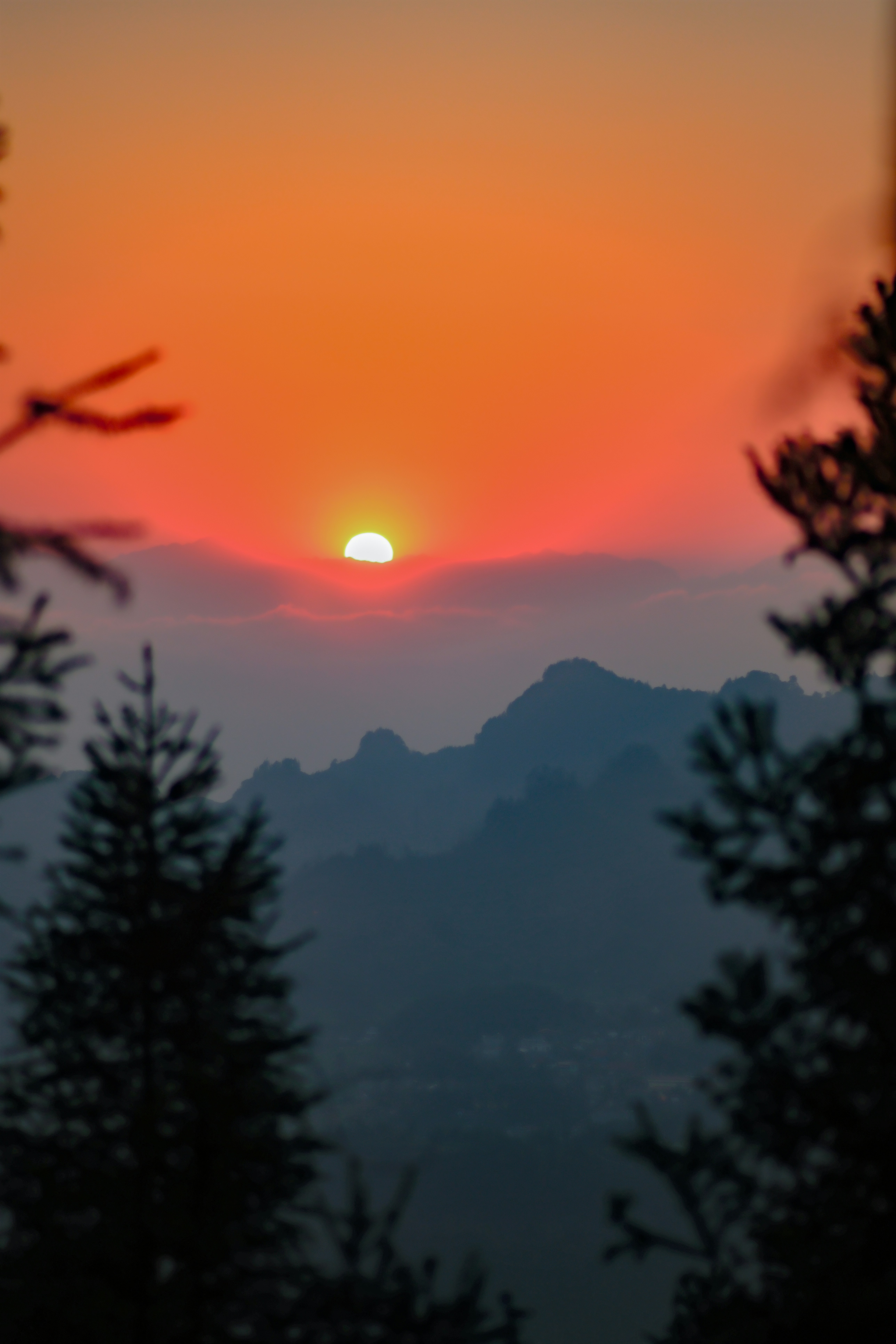 Sunset Over Layered Pines: A Silhouette of Distant Ridge
