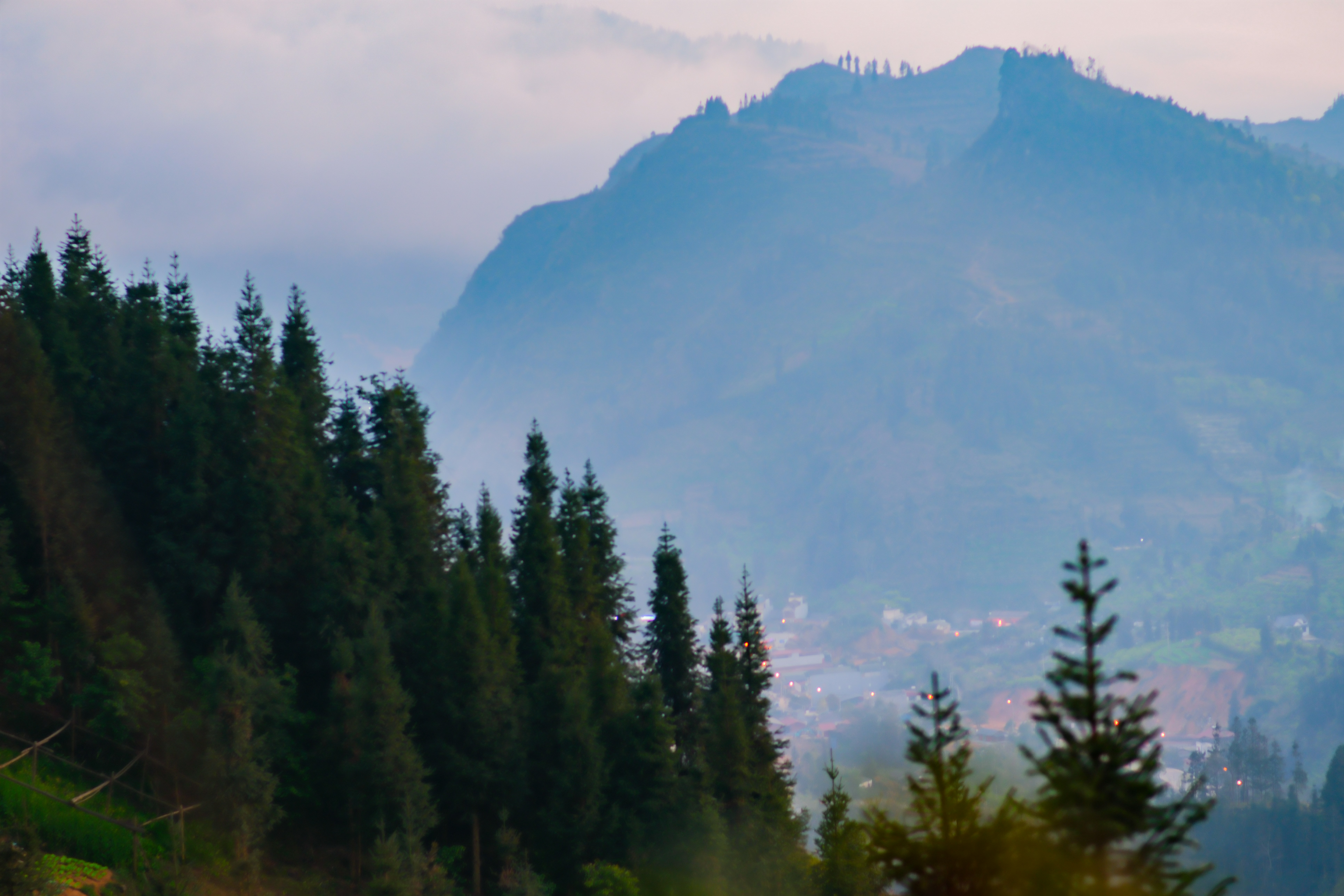 Mist over the Pines: A Quiet Mountain Valley