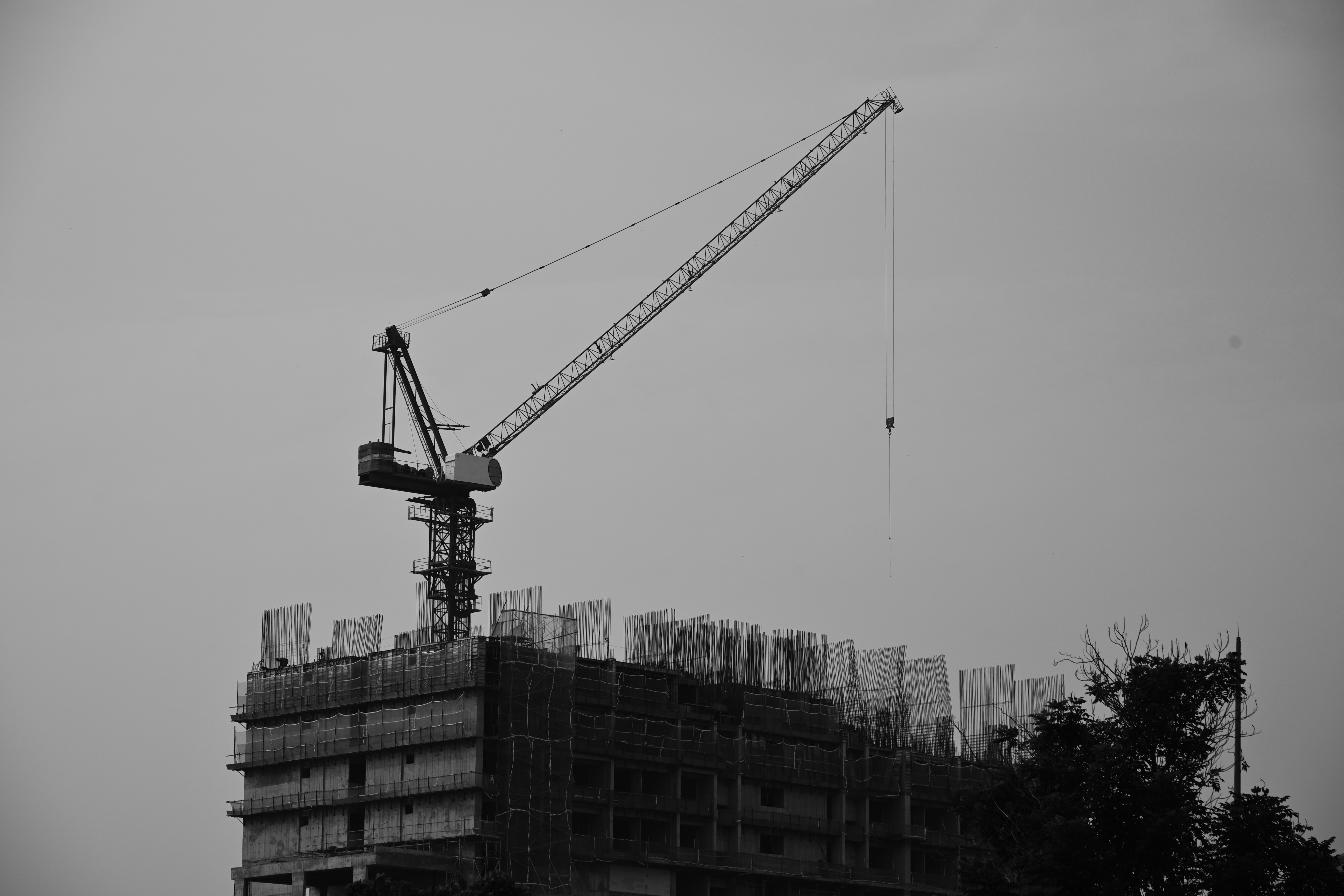 Tower Crane Over a Skeleton of Steel