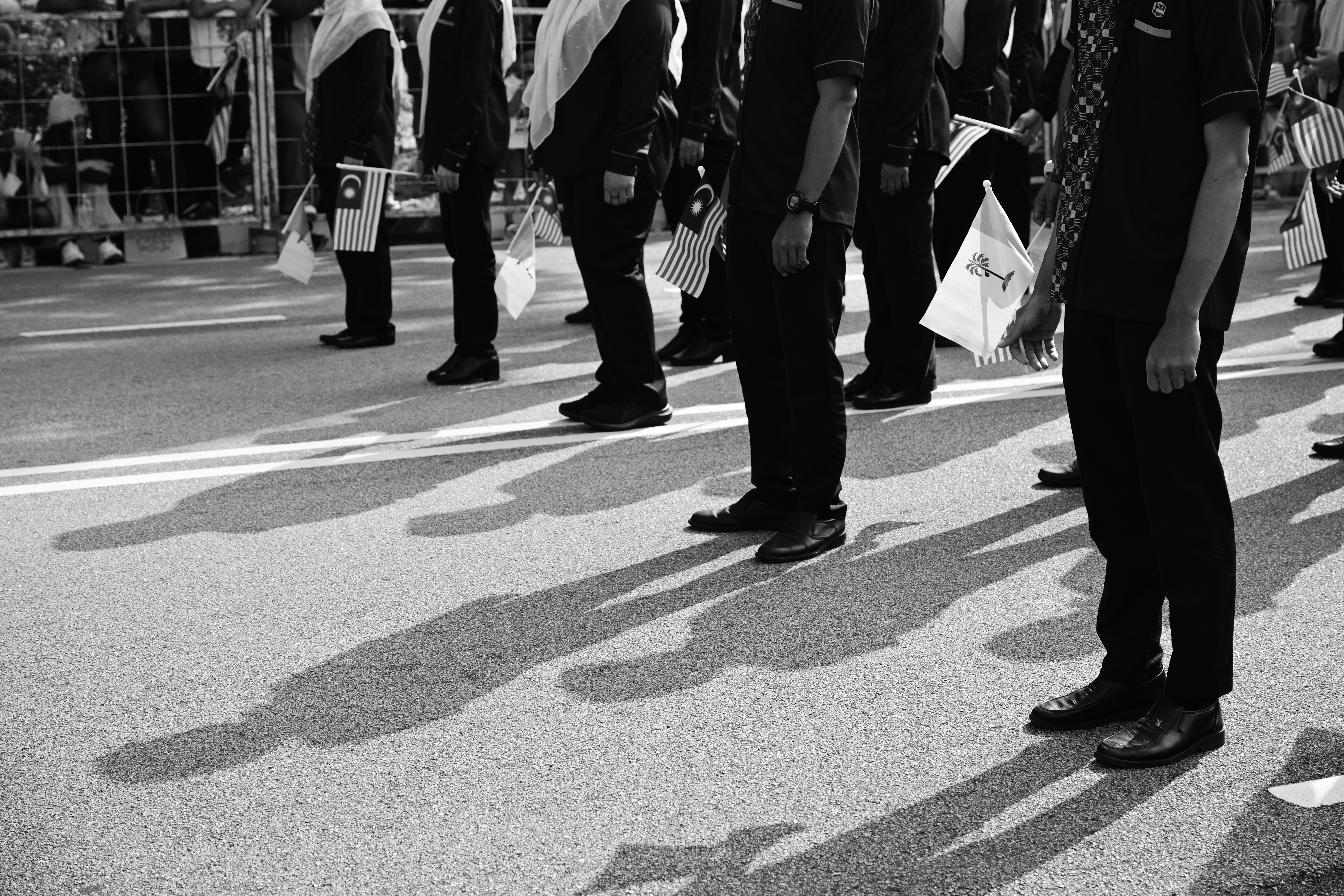 Marching in Line: Silent Shadows and Flags