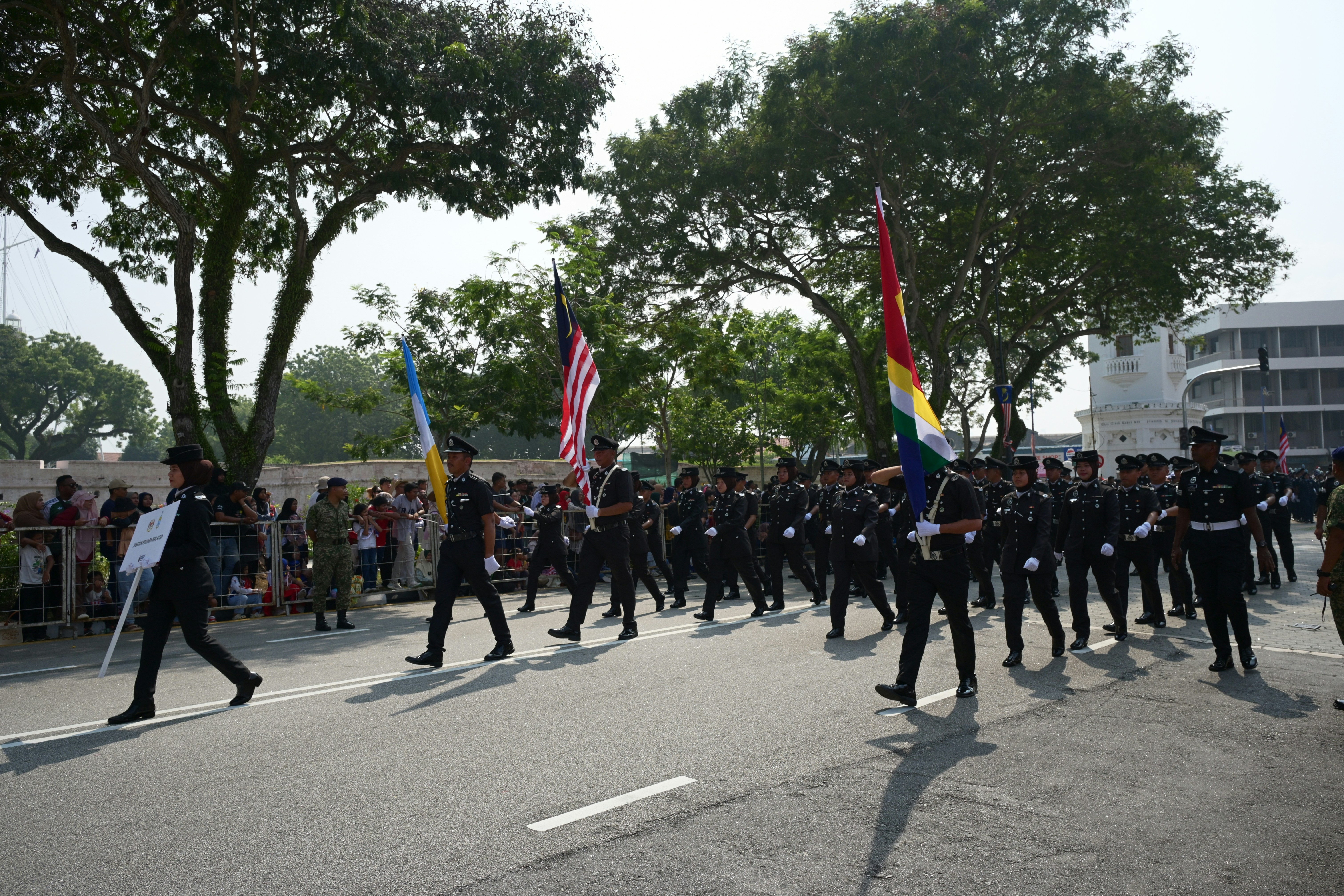 Marching Colors: A Civic Parade Flanked by Flags
