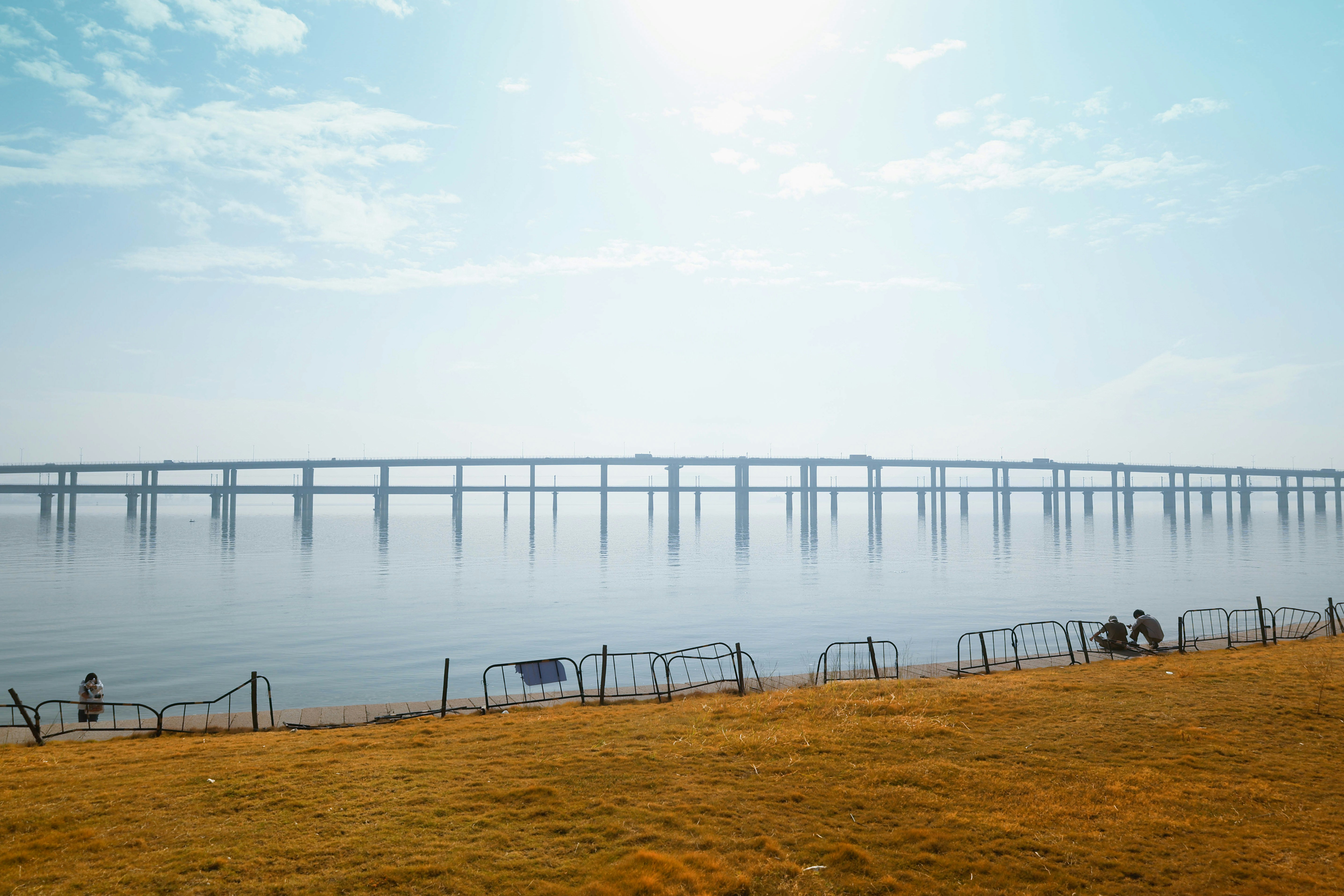 Sunlit Sea Fence: A Quiet Break in the Pier's Shadow