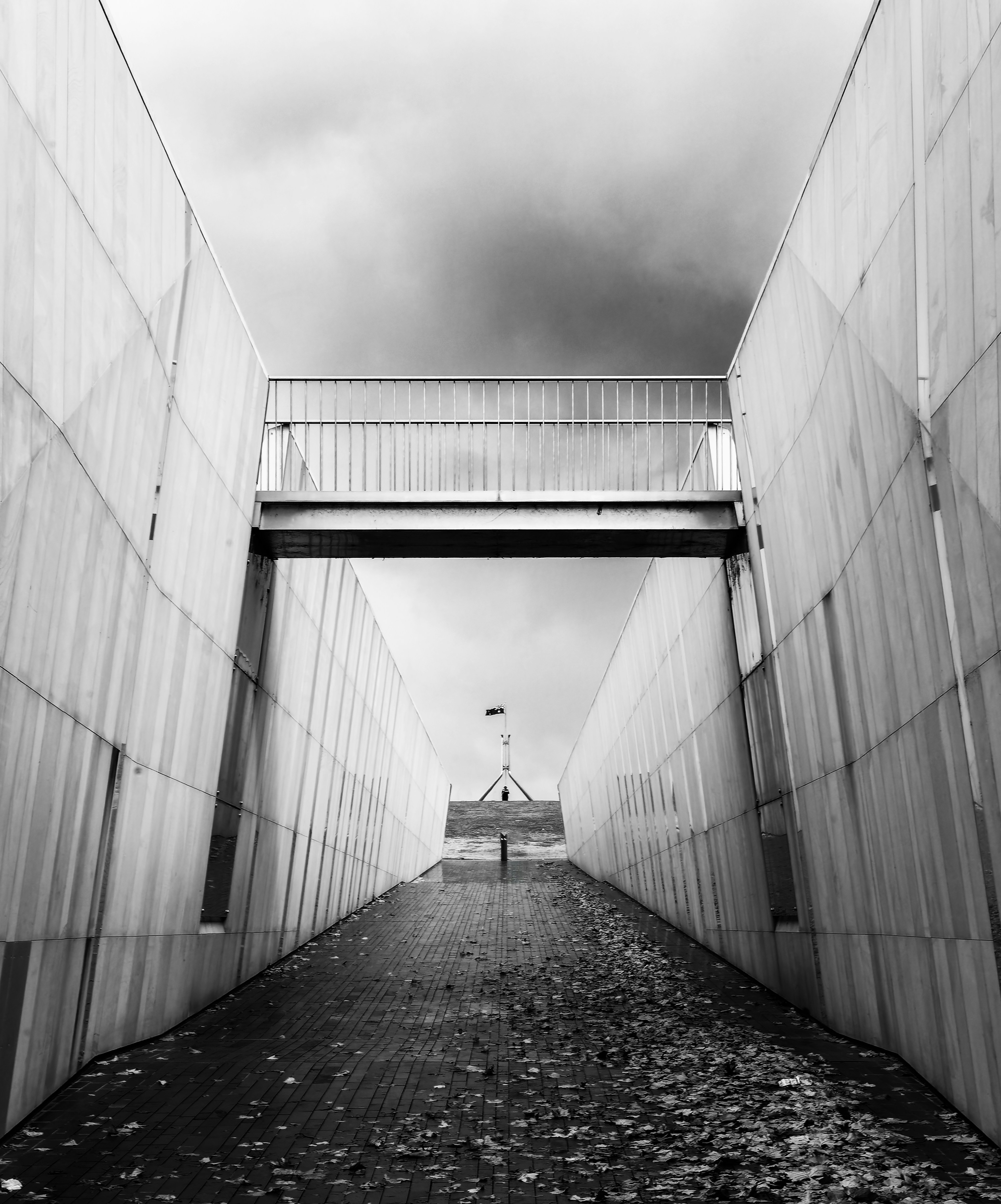 Between Concrete Rivers: A Quiet Descent Toward the Sky