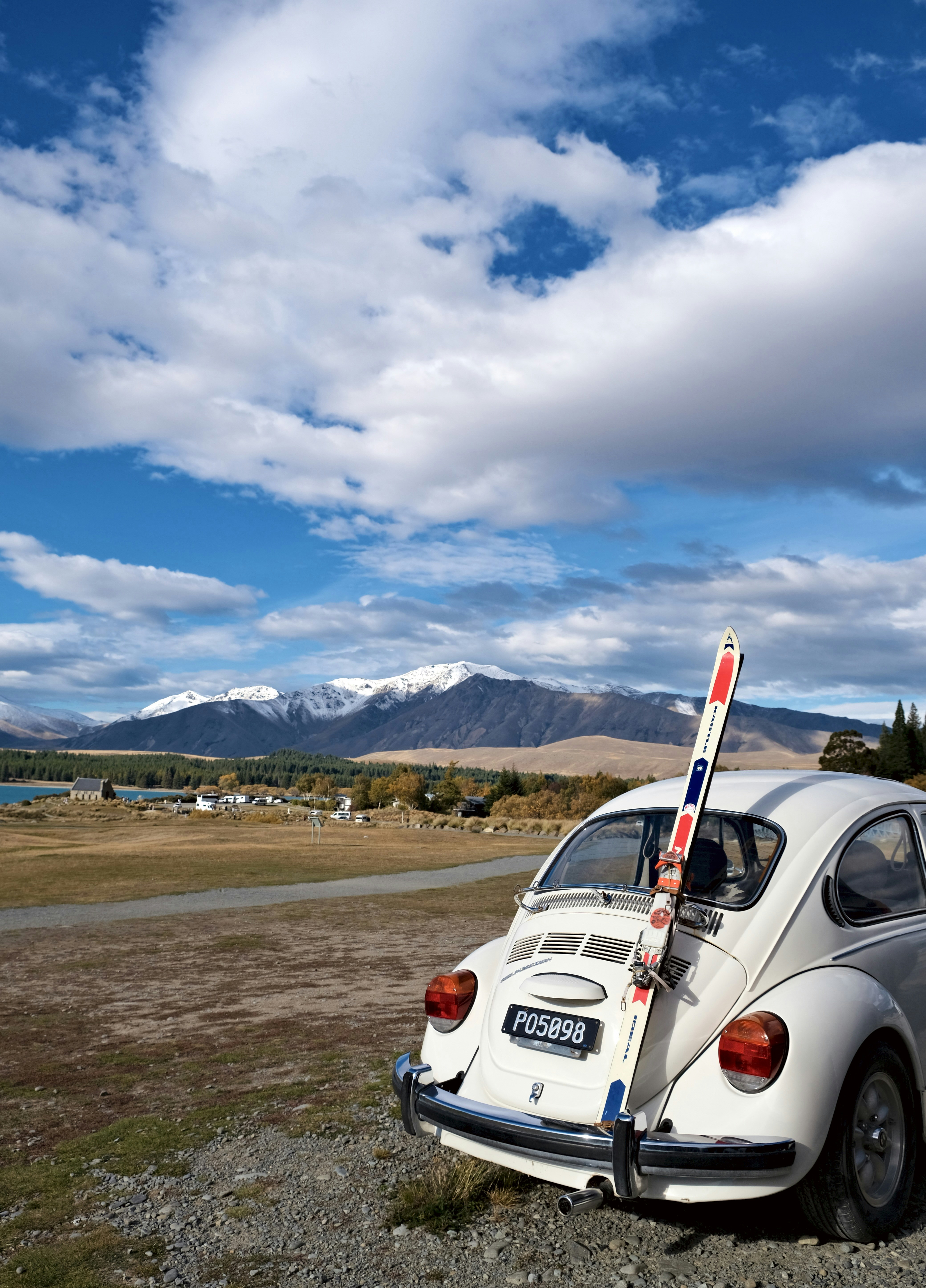 Roadside Echoes: A Beetle with a Snow-Kissed Horizon