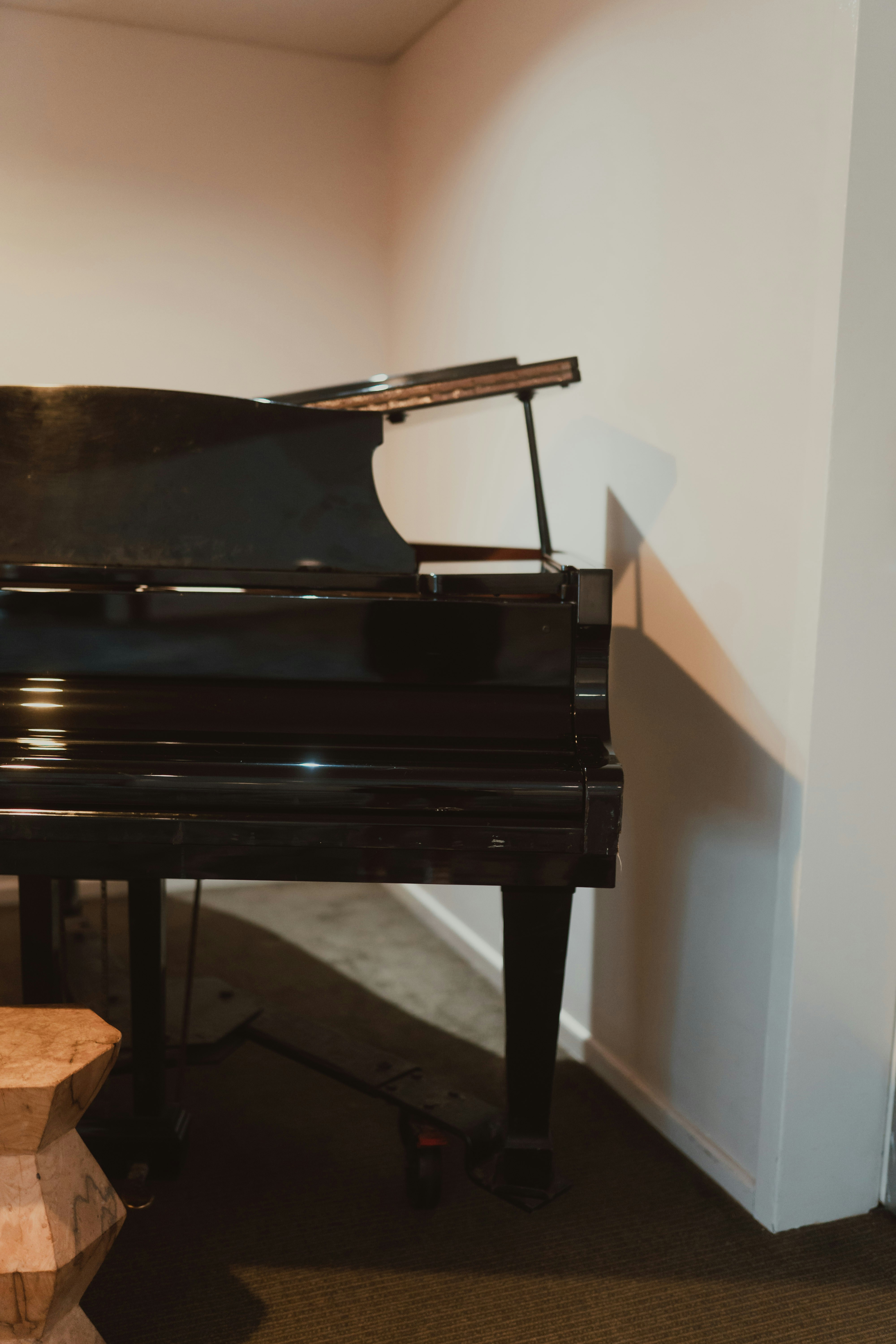 Midnight Concert in a Quiet Corner