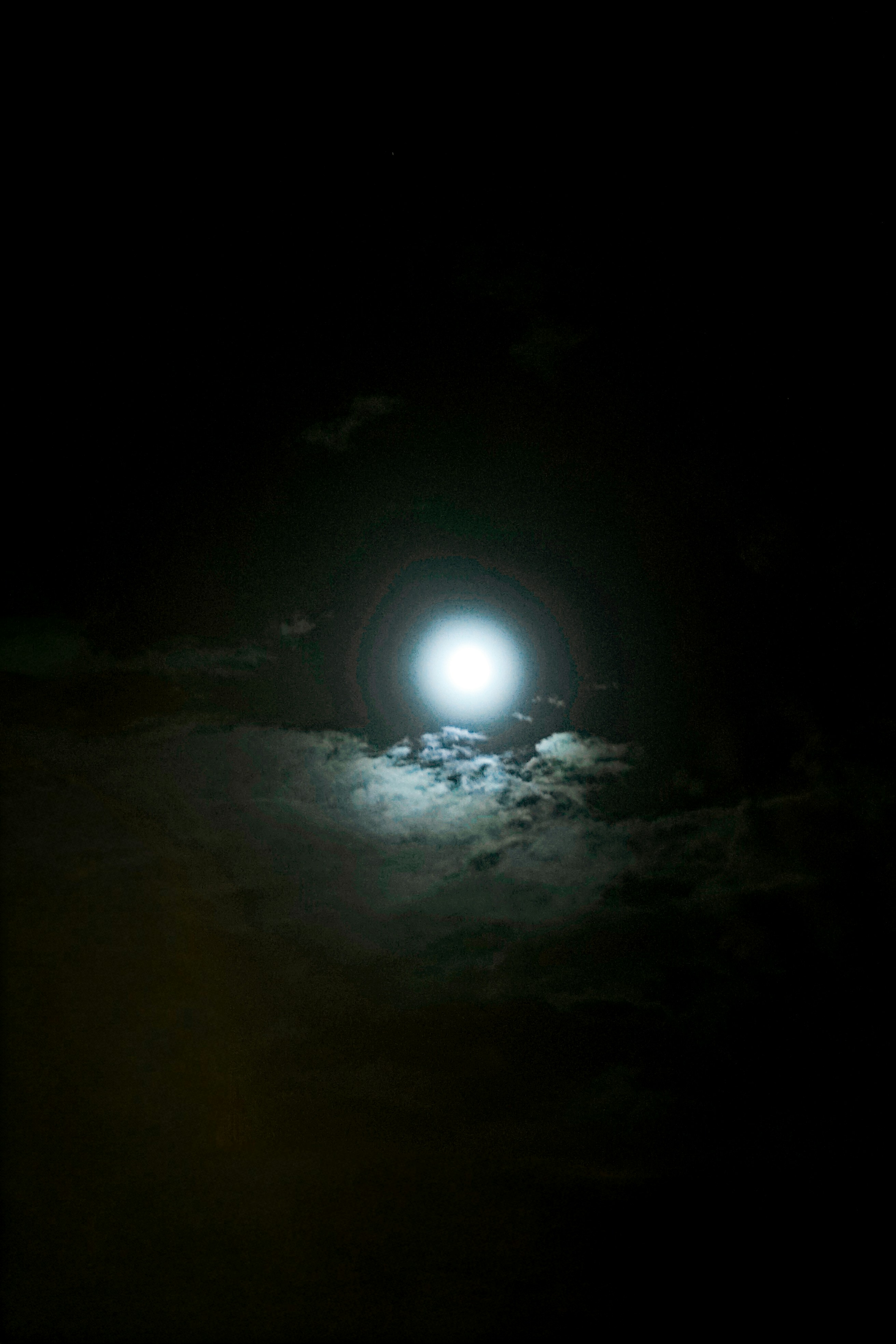 Moonlit Mist: A Quiet Night Under The Glowing Orb