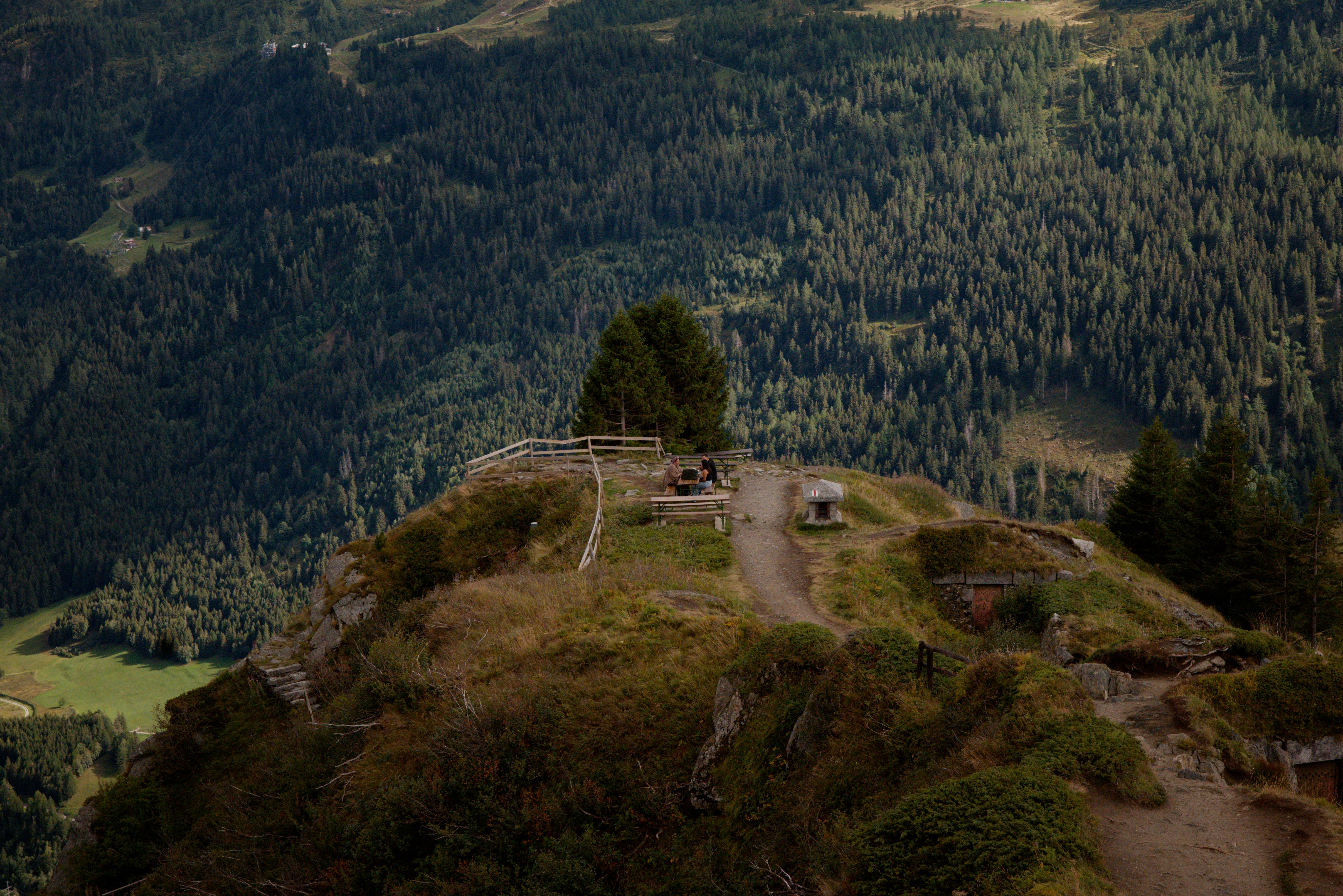 Hilltop Shelter: A Quiet Resting Spot Above the Forest