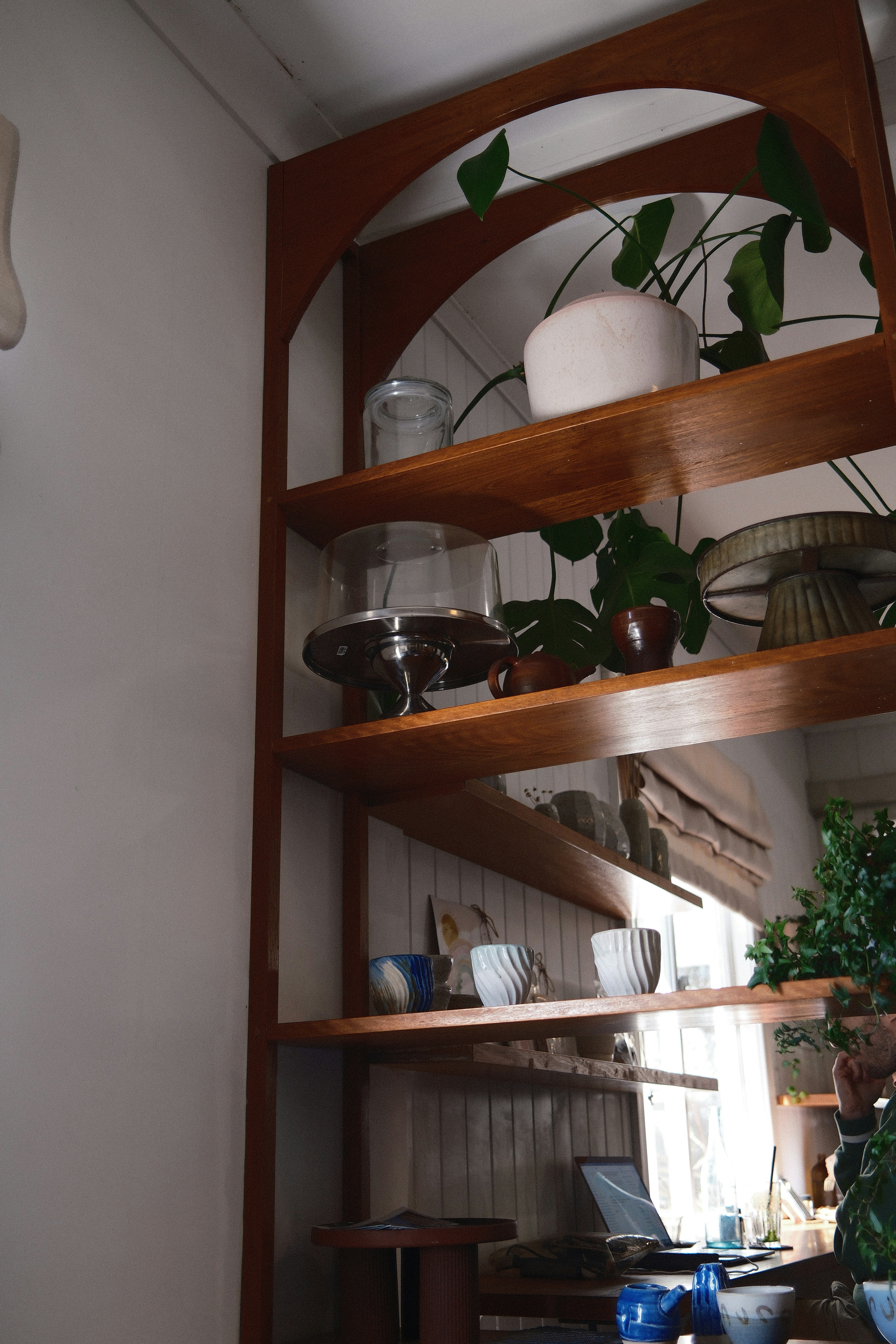 Wooden shelves, ceramic cups, and green leaves in a sunlit dining nook