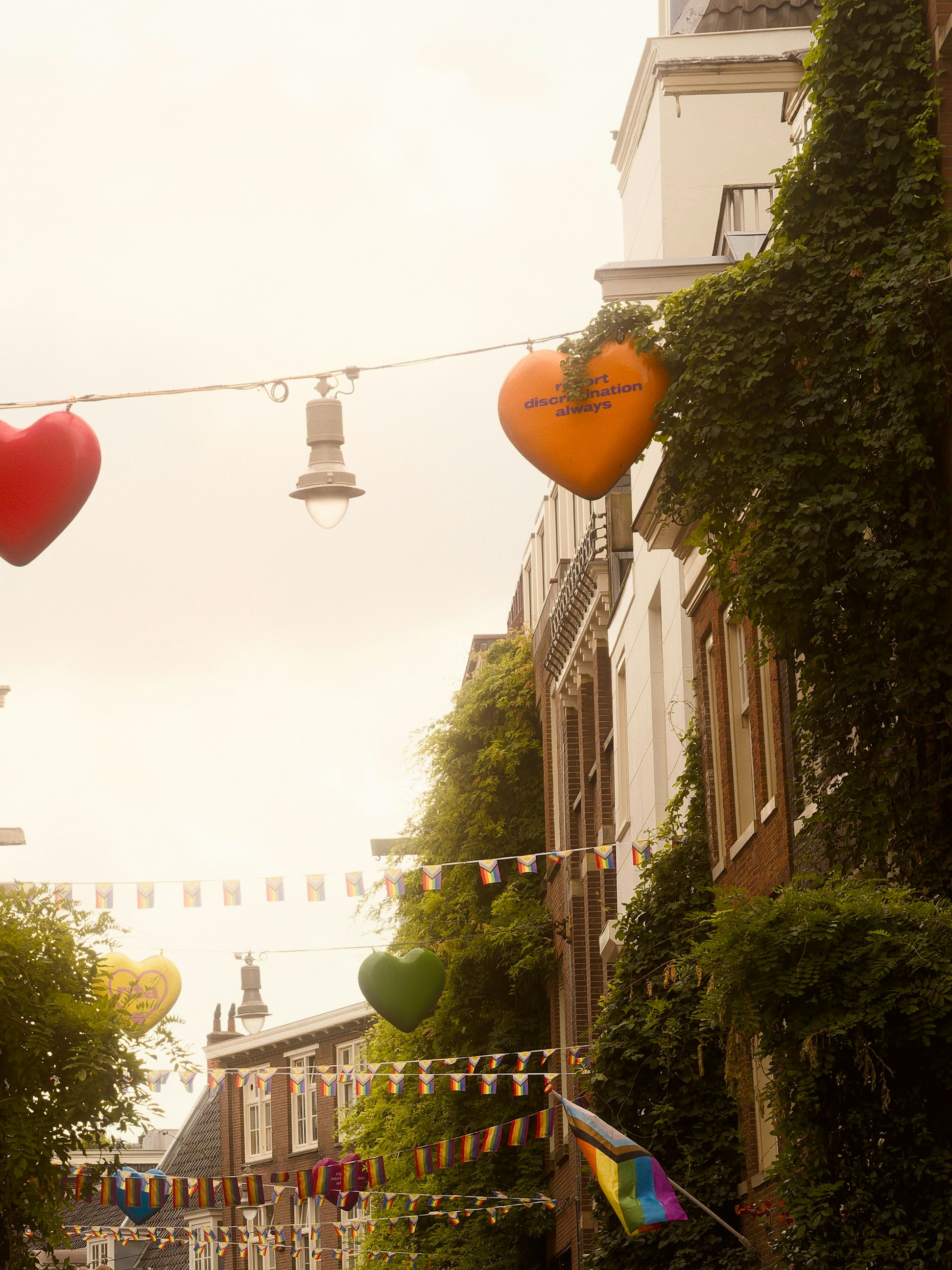 Heart on a Wire: Street Festival Toward the Sunlit Facade