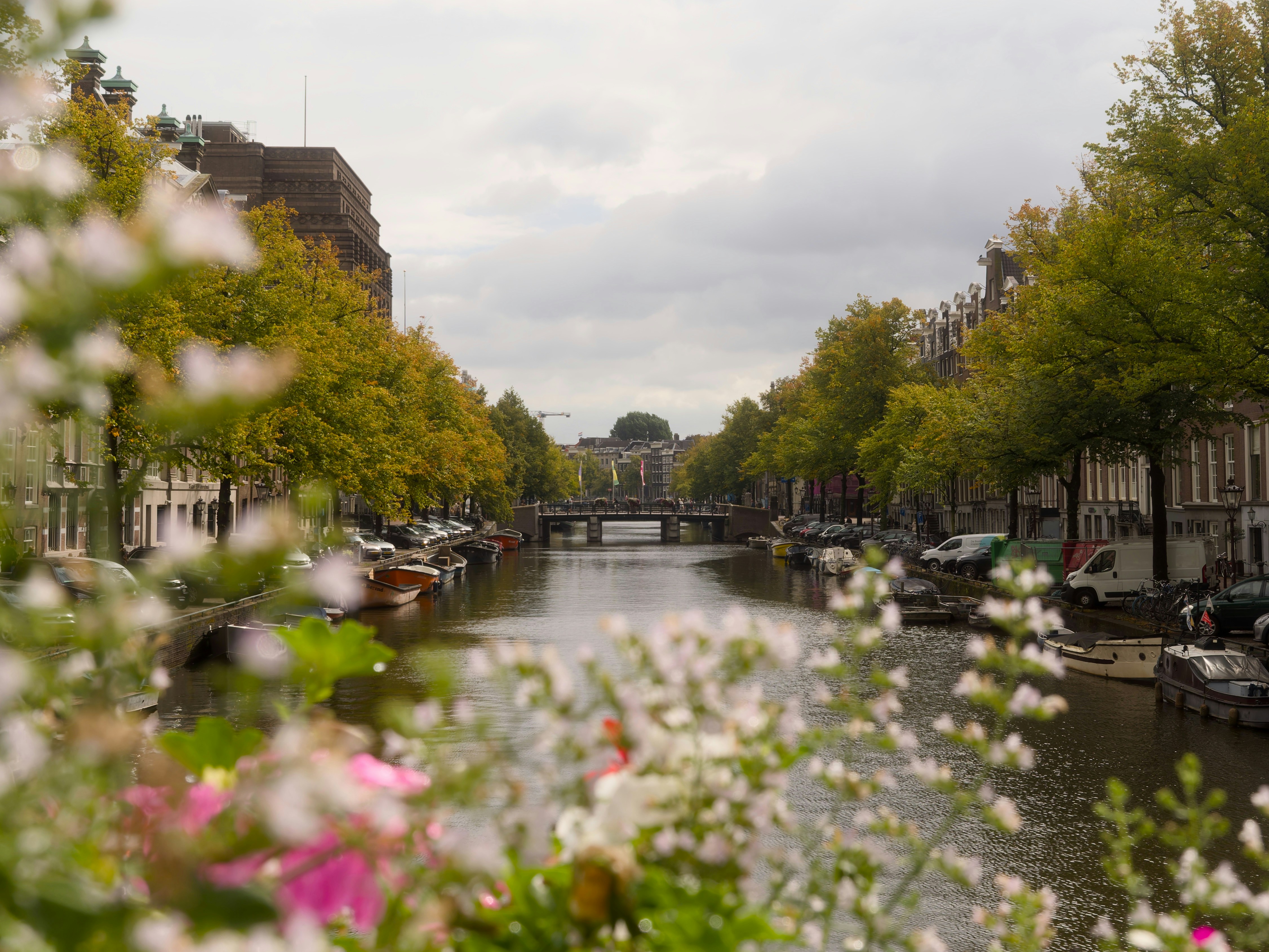 Canal Bloom: Autumn Light Over Amsterdam’s Waterways