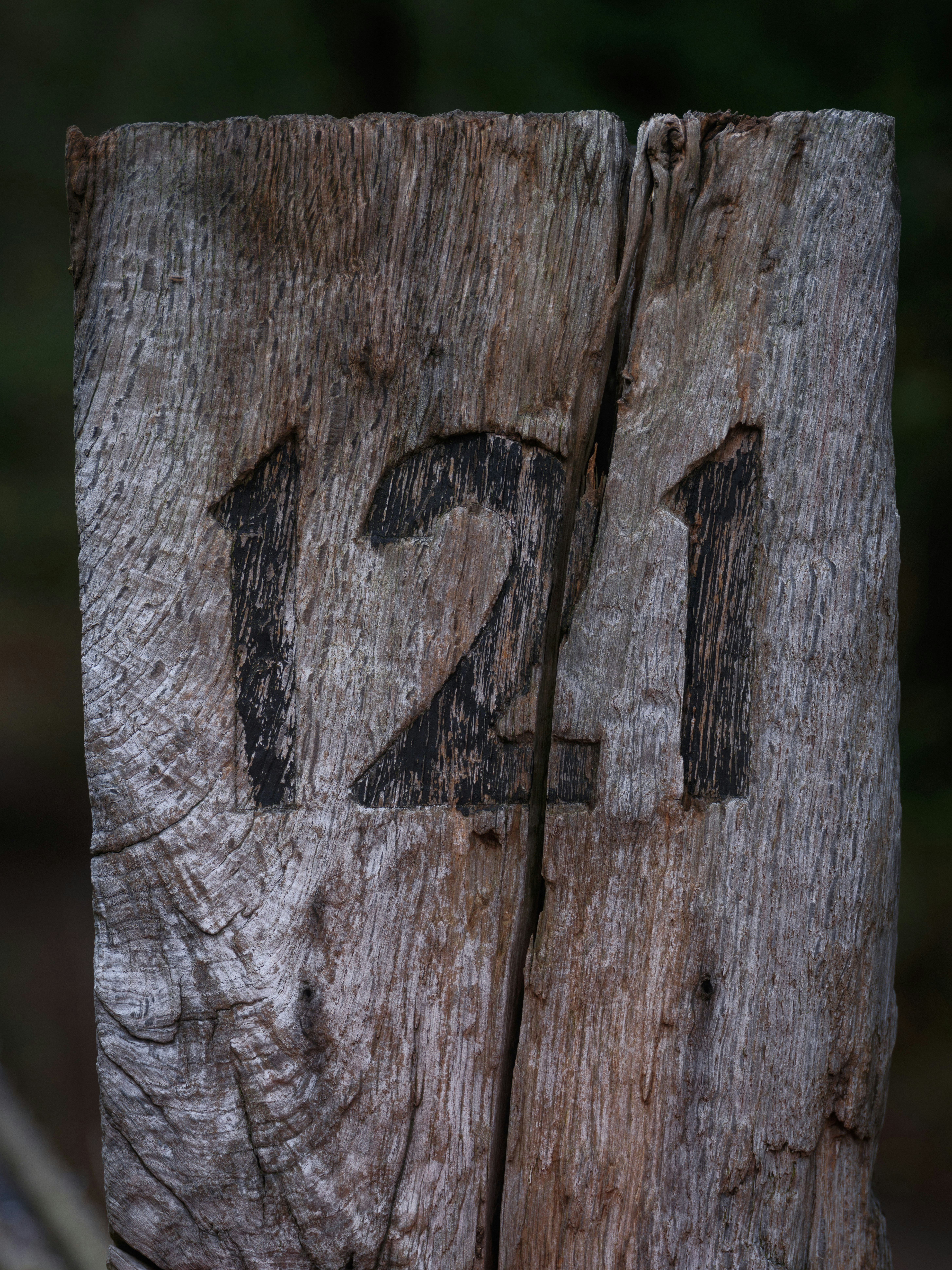 Weathered Split-Pine Marker: number 21 carved in aged timber