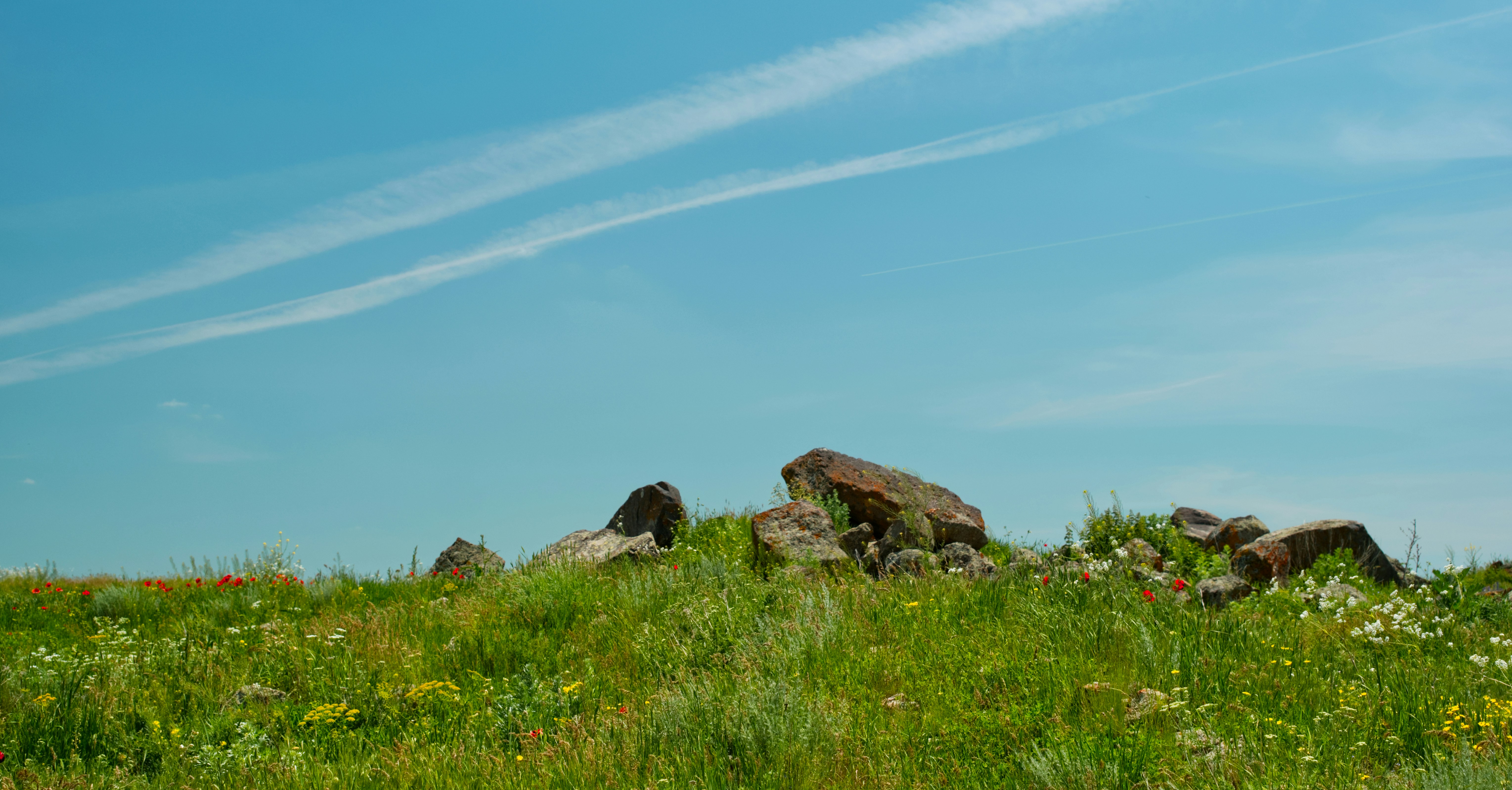 Quiet Rock Garden Under a Wide Summer Sky