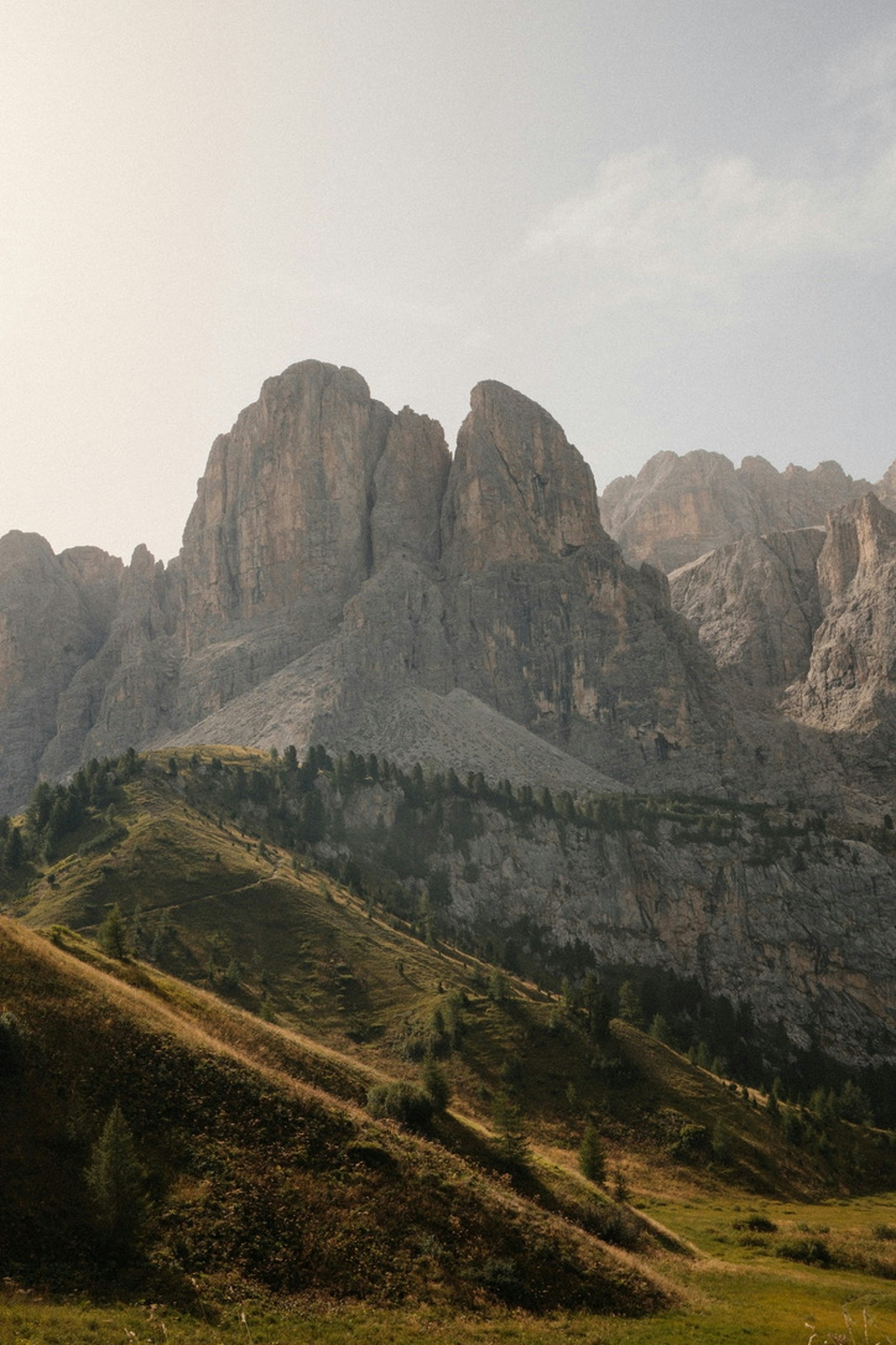 Rocky mountain summit above grassy slopes with scattered pines under a pale sky; a rugged alpine landscape showing layered textures and natural light.